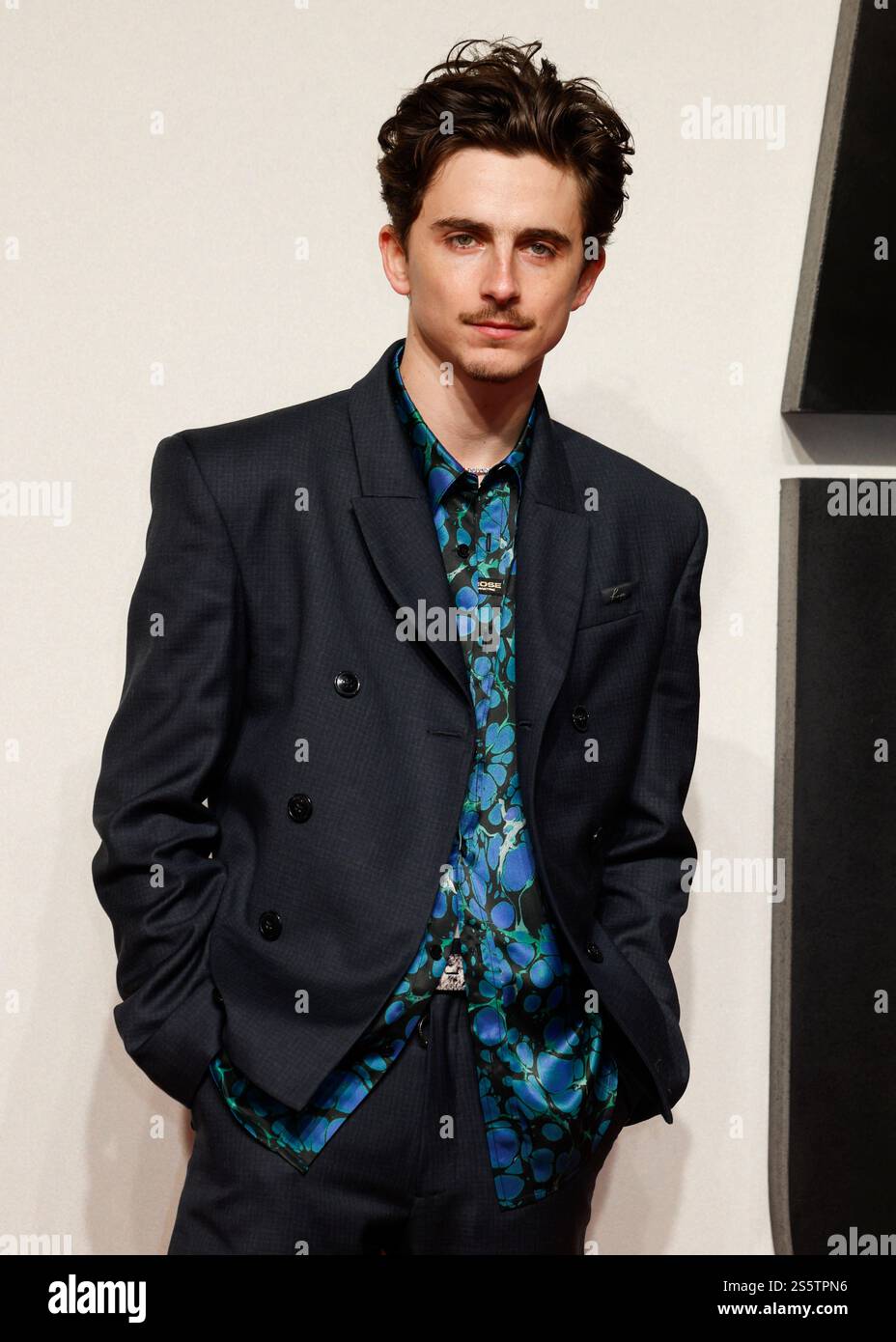 London, UK. 14th Jan, 2025. Timothée Chalamet attends the A Complete ...