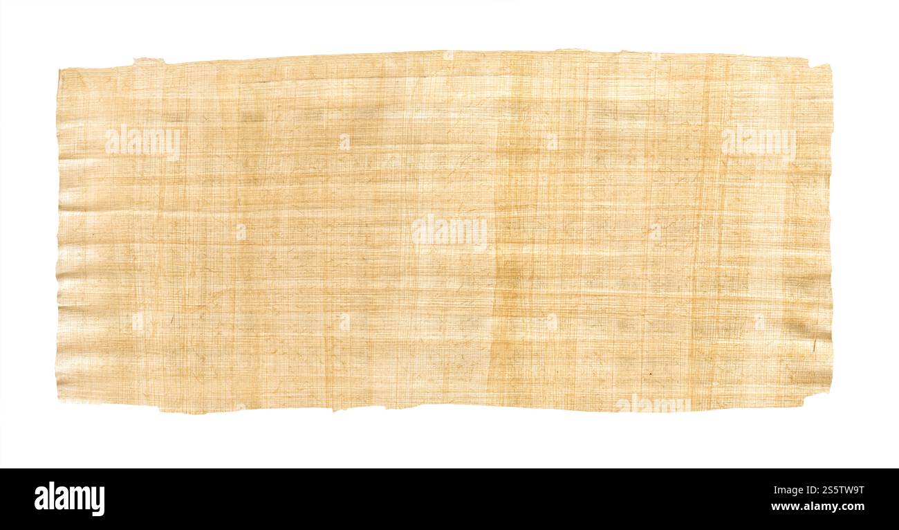 Old brown papyrus texture isolated on white background. Banner ...