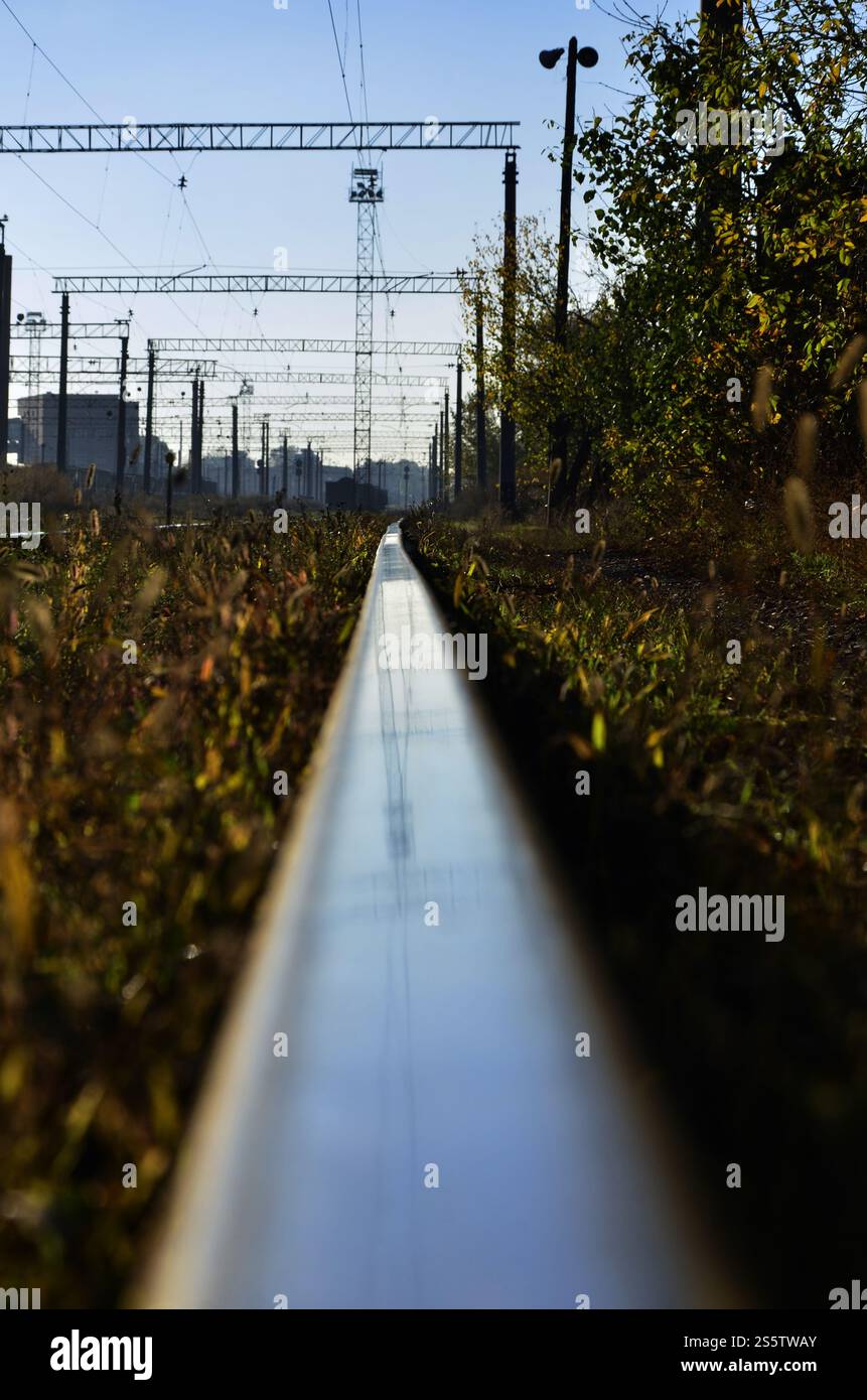 Railway landscape. Many railroad cars and tanks standing in rails ...