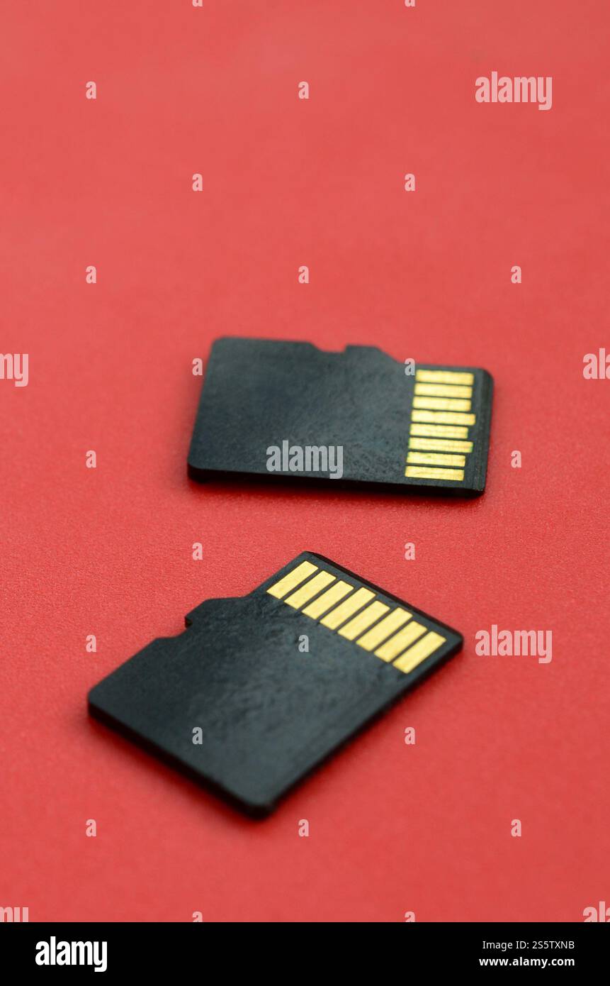 Two small micro SD memory cards lie on a red background. A small and ...