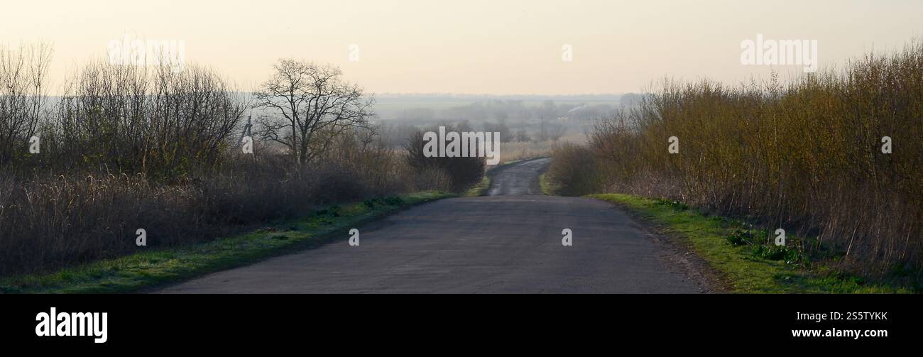 Dawn in the village. Asphalt road, leaving far into the distance among ...