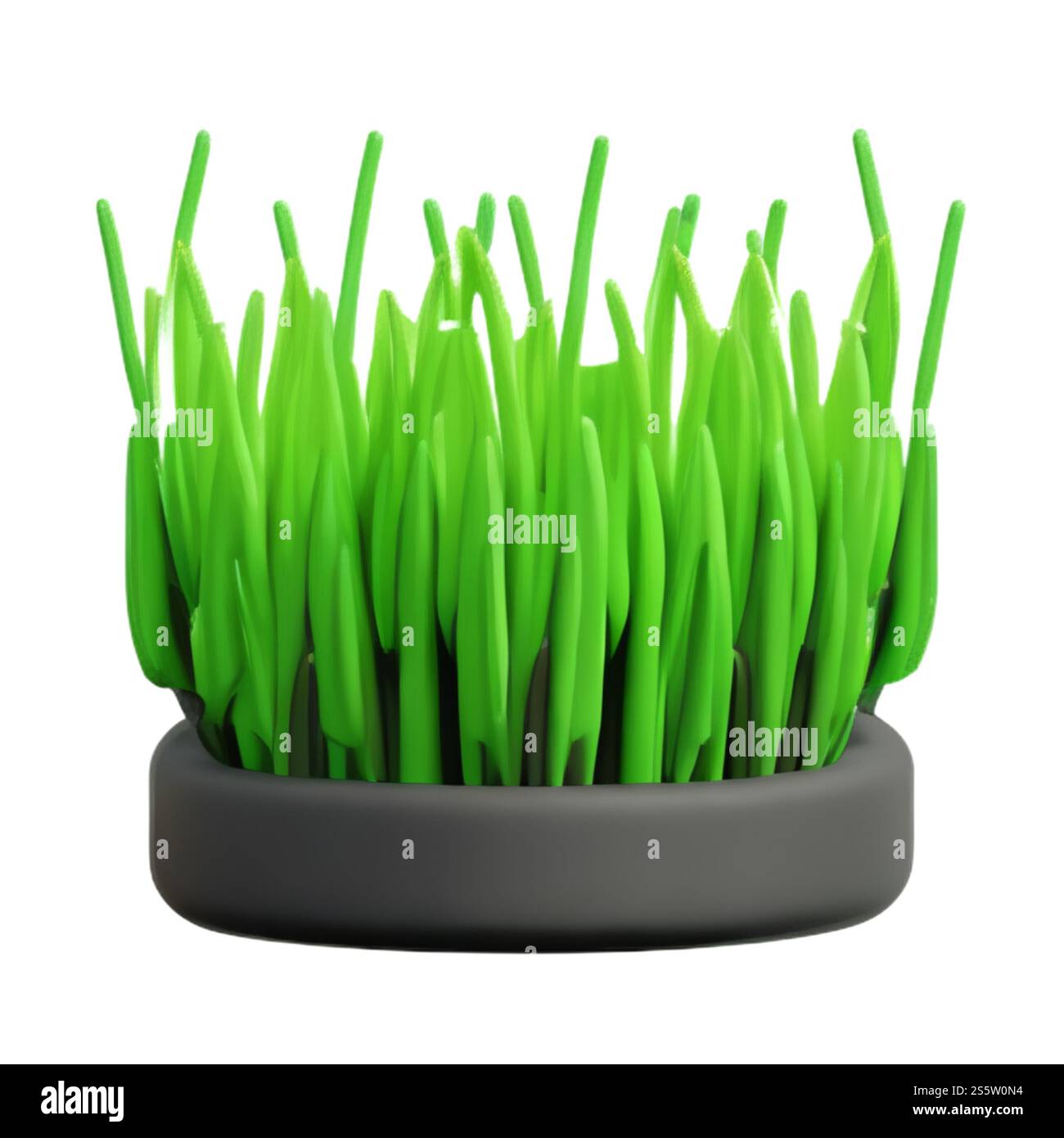 Green grass sprouts on white background llustration grass cartoon low ...