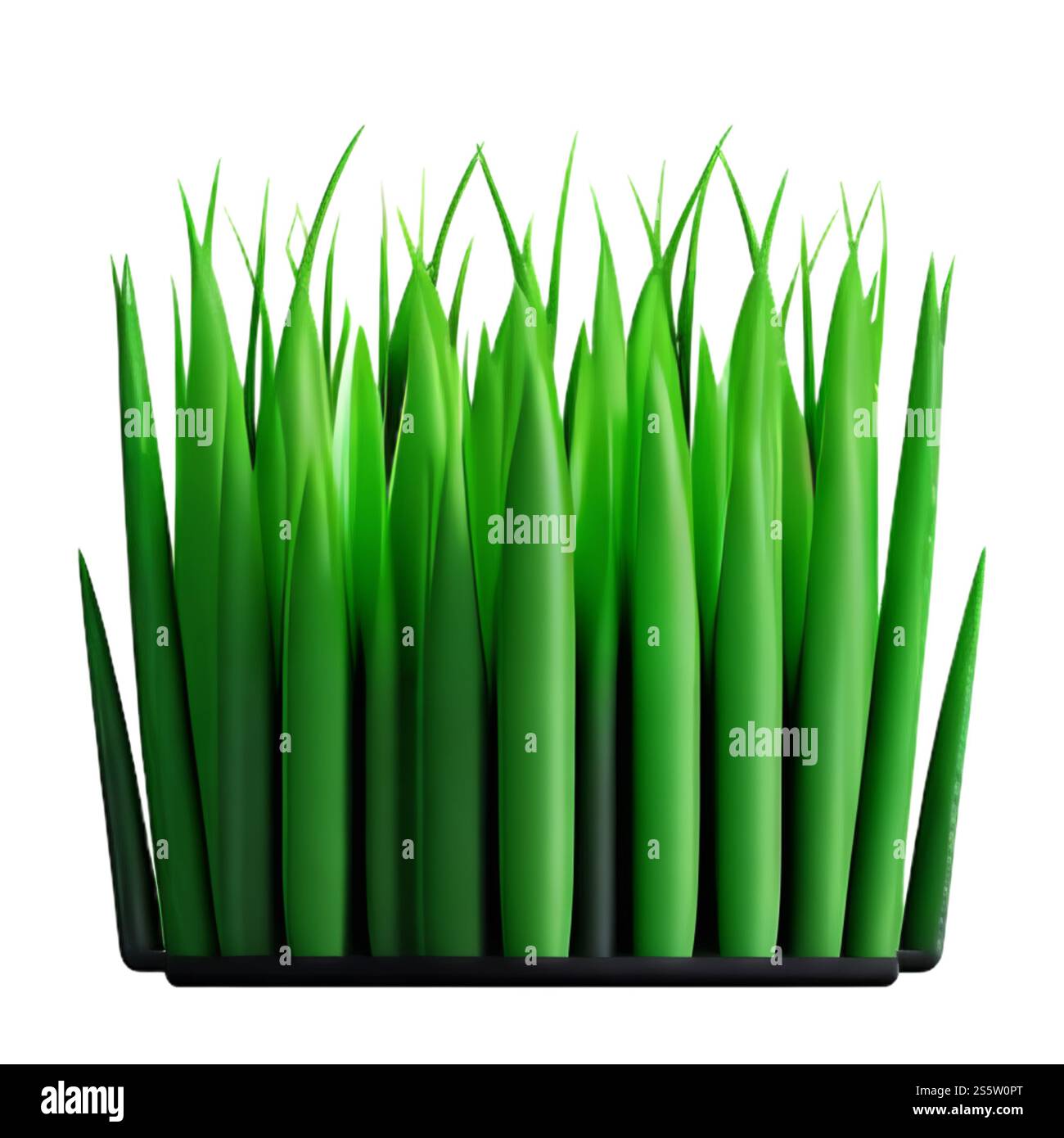 Green grass sprouts on white background llustration grass cartoon low ...