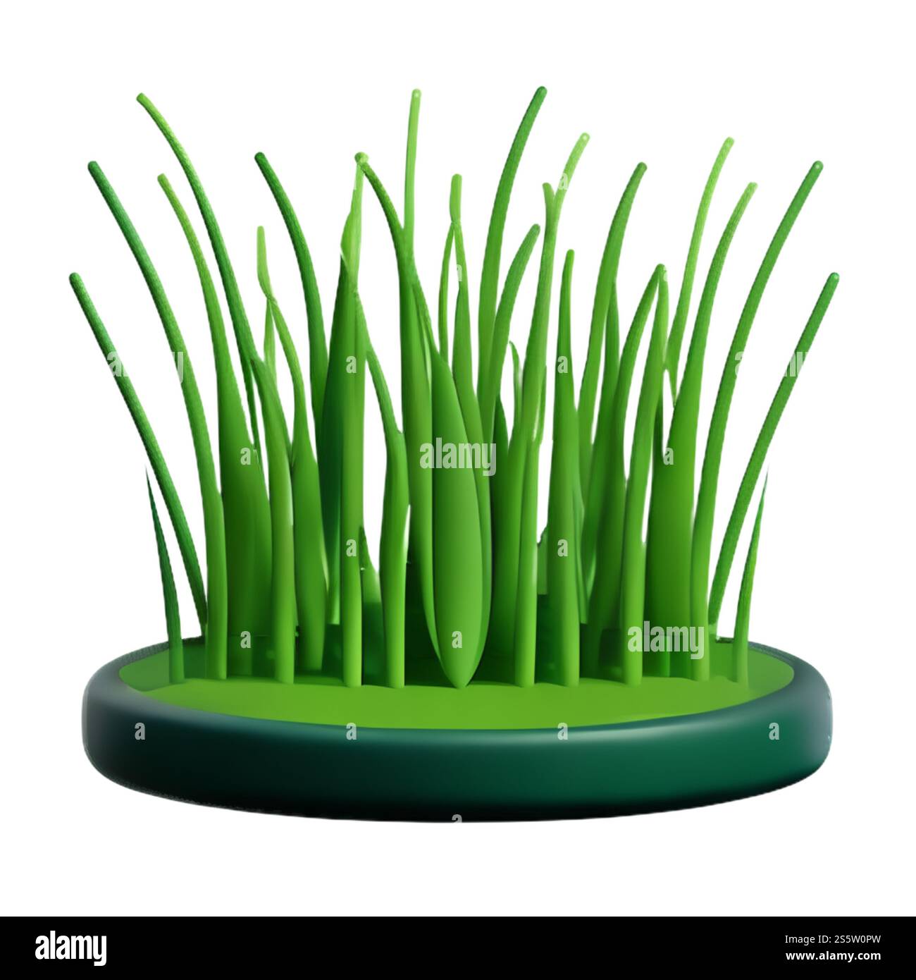 Green grass sprouts on white background llustration grass cartoon low ...
