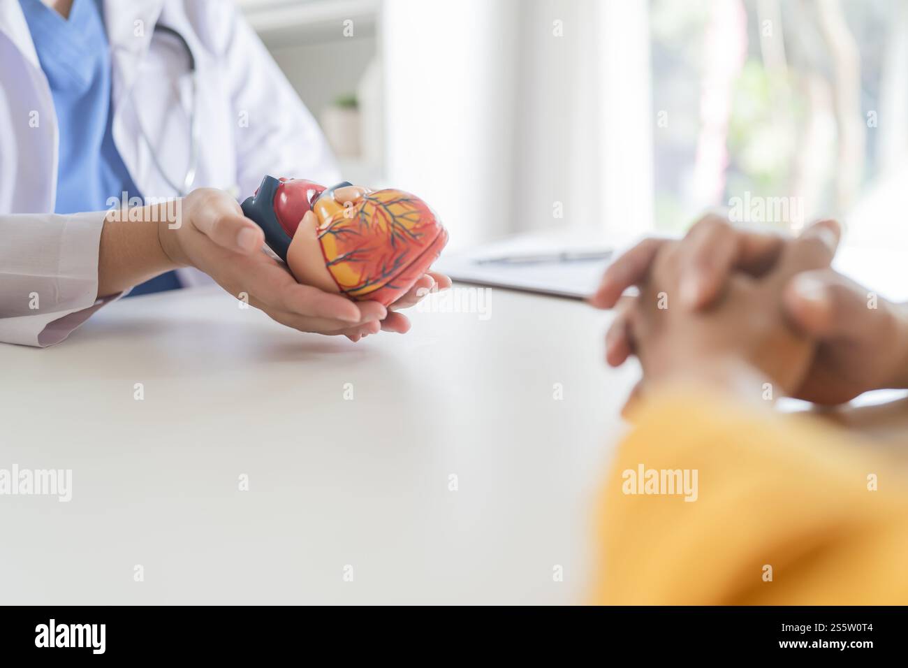 Cardiology Consultation treatment of heart disease. Doctor cardiologist ...