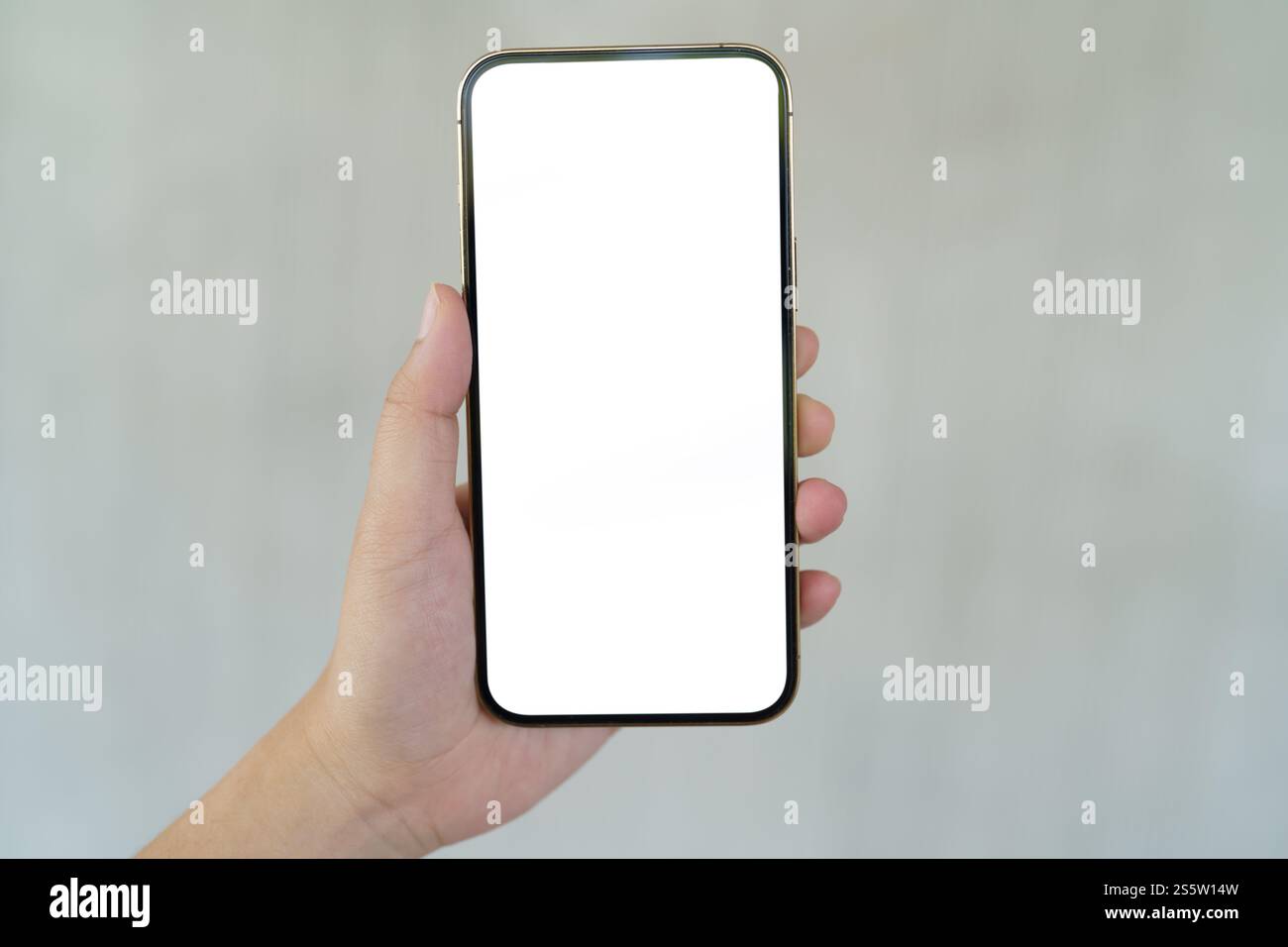 Womens hands holding cell telephone blank copy space screen. smartphone ...