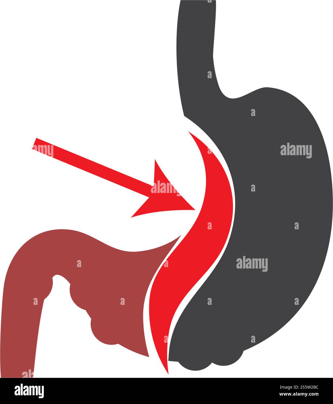stomach care icon designs concept vector illustration Stock Vector ...