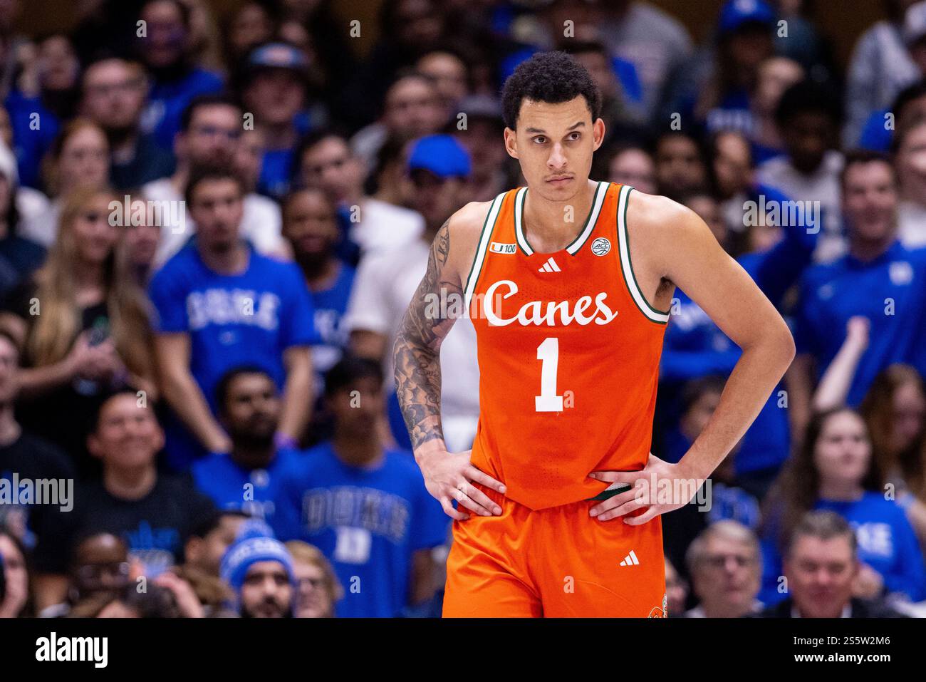 2025 0144 jpg hi-res stock photography and images - Alamy