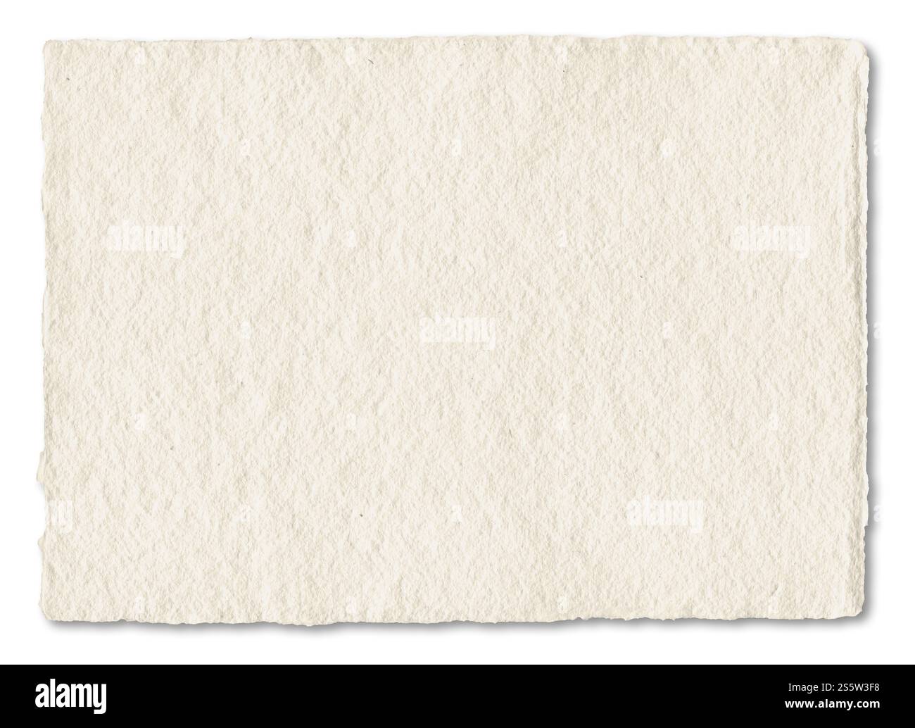 Natural art paper texture. Parchment background wallpaper. Isolated on ...