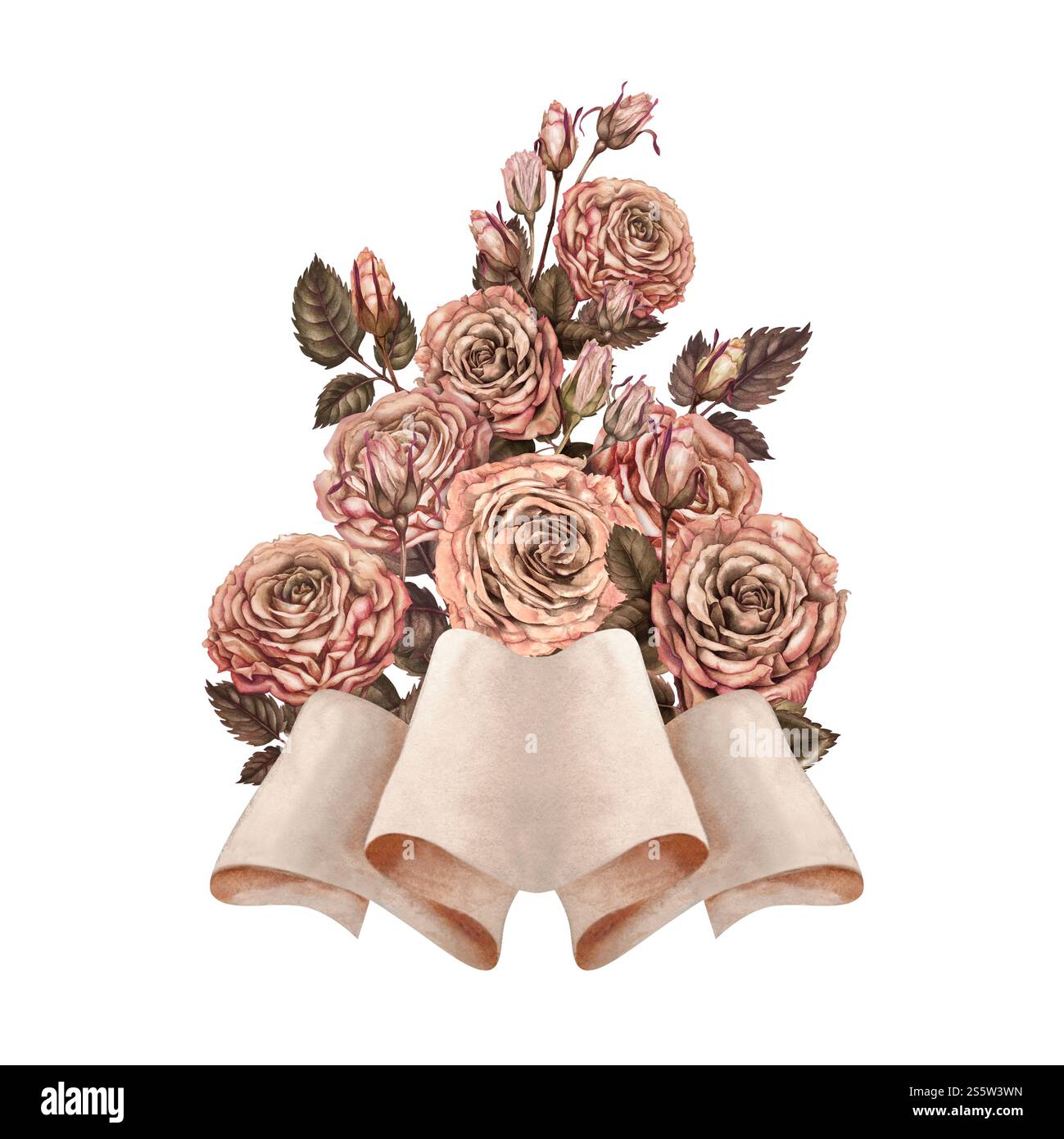 Bronze and green leaves Cut Out Stock Images & Pictures - Alamy