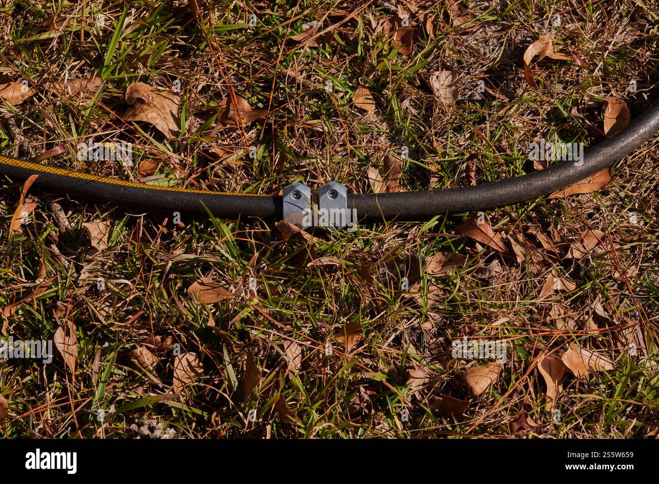 Backgrounds, Textures, Still life, Shapes and patterns within tree bark ...