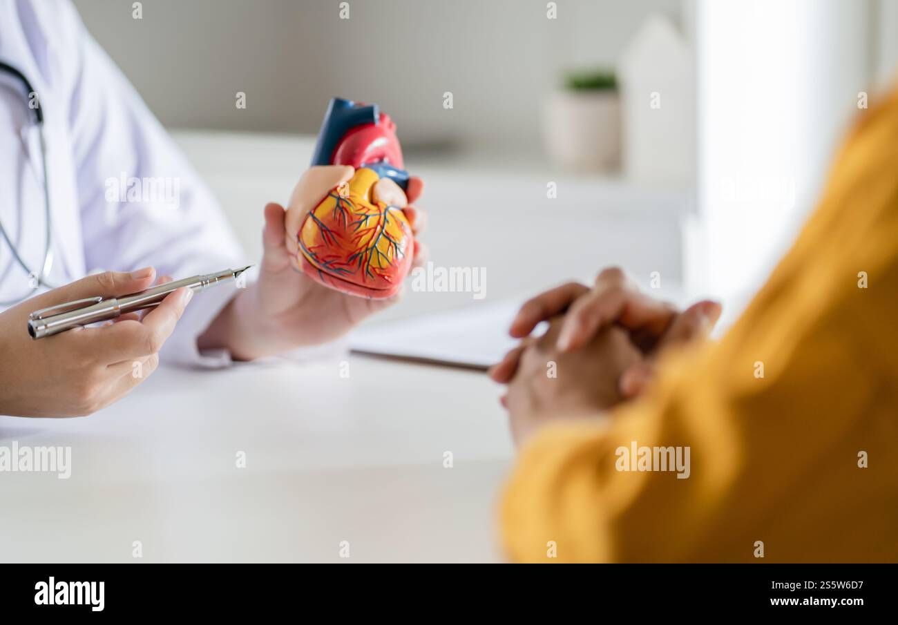 Cardiology Consultation treatment of heart disease. Doctor cardiologist ...