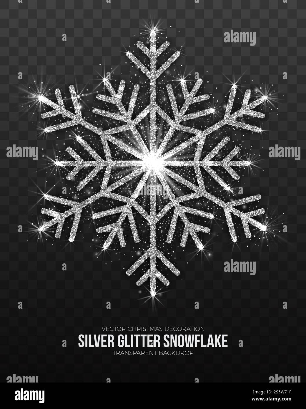 Christmas Design Element Elegant Shining Silver Snowflake Isolated on ...