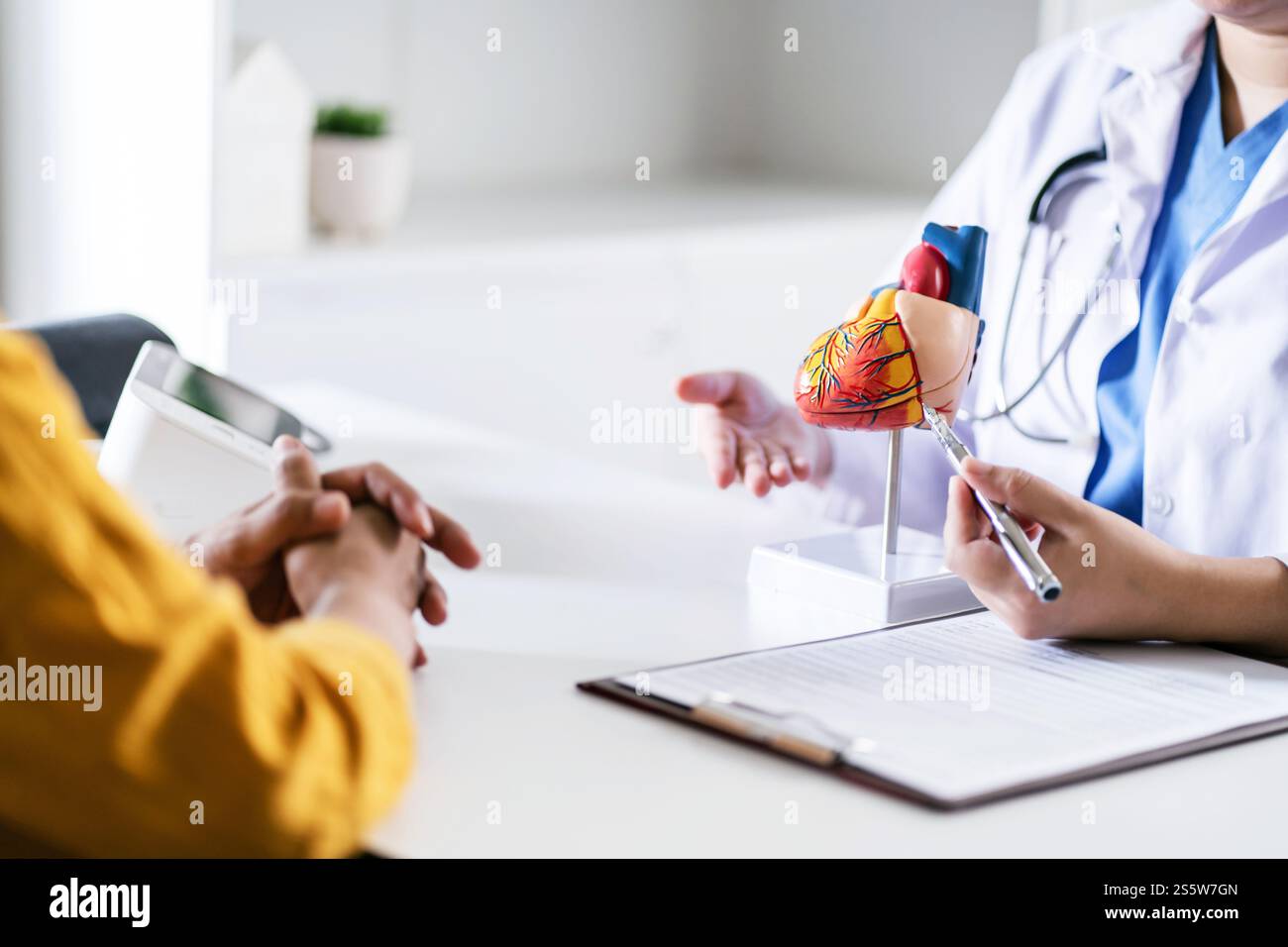 Cardiology Consultation treatment of heart disease. Doctor cardiologist ...