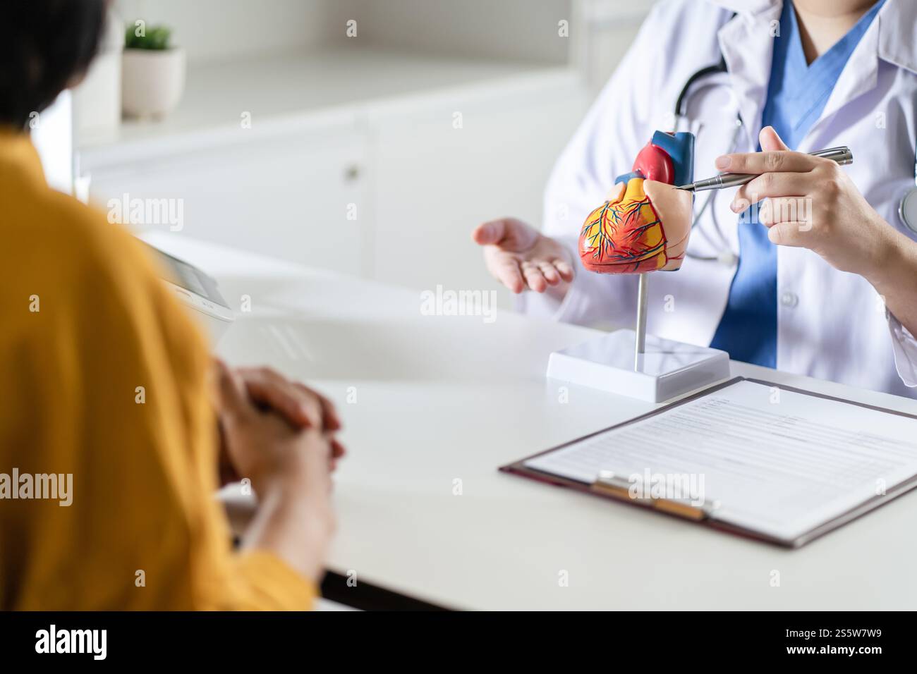 Cardiology Consultation treatment of heart disease. Doctor cardiologist ...