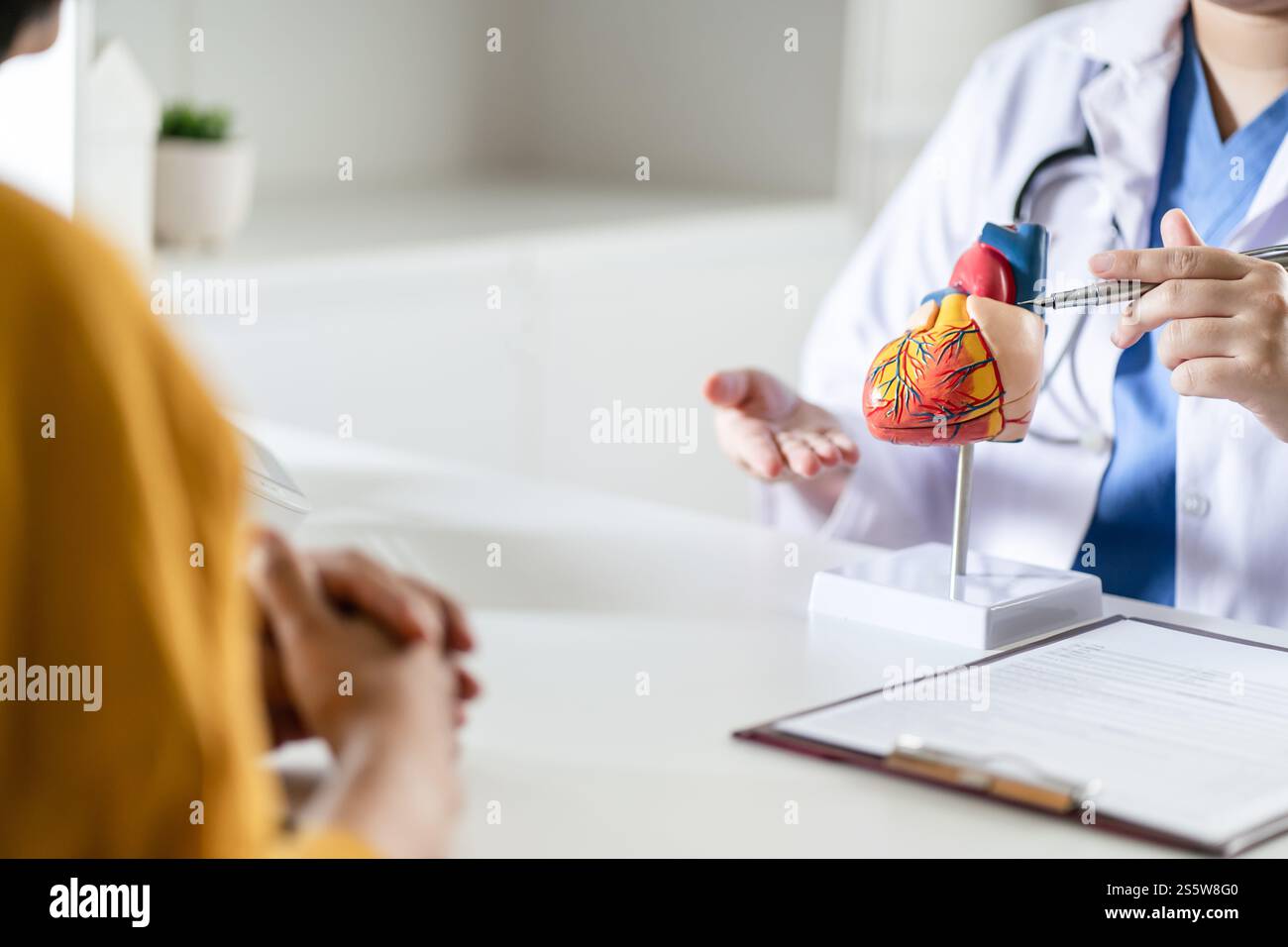 Cardiology Consultation treatment of heart disease. Doctor cardiologist ...