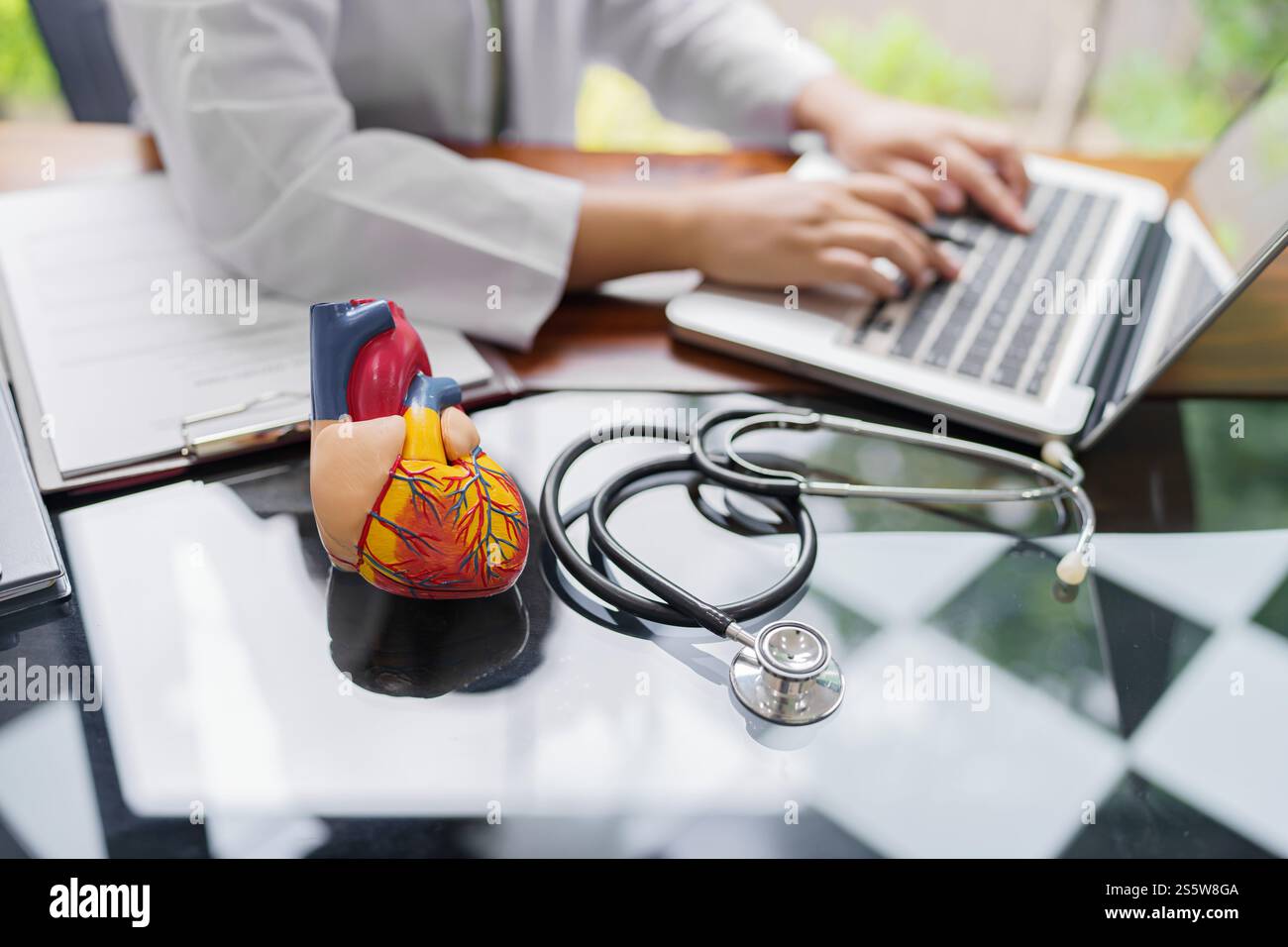 Doctor consult patient on laptop with anatomical model of human heart ...