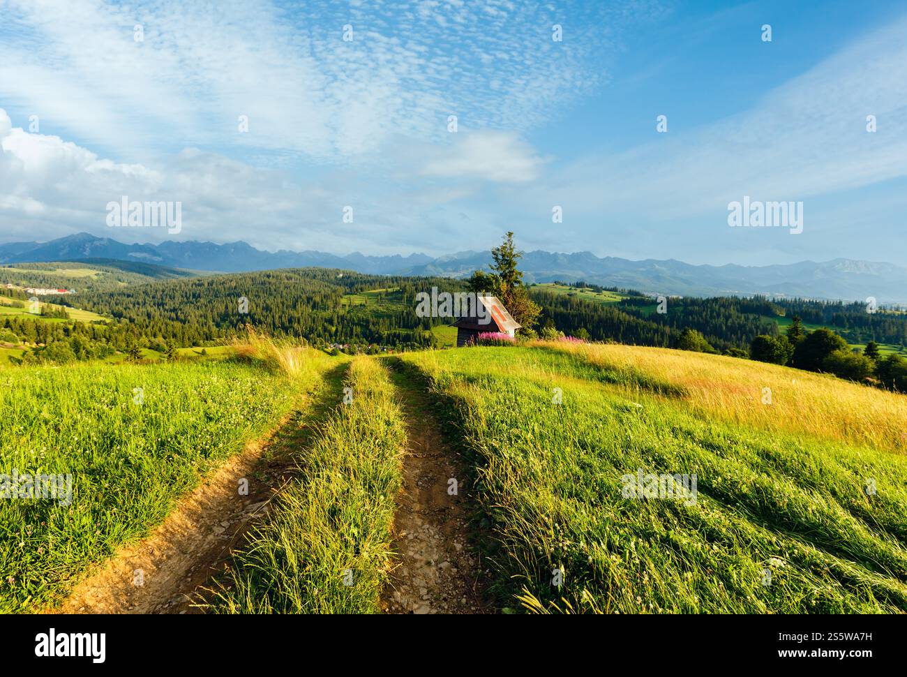 Summer mountain village outskirts with country path in front and Tatra range behind (Gliczarow ...