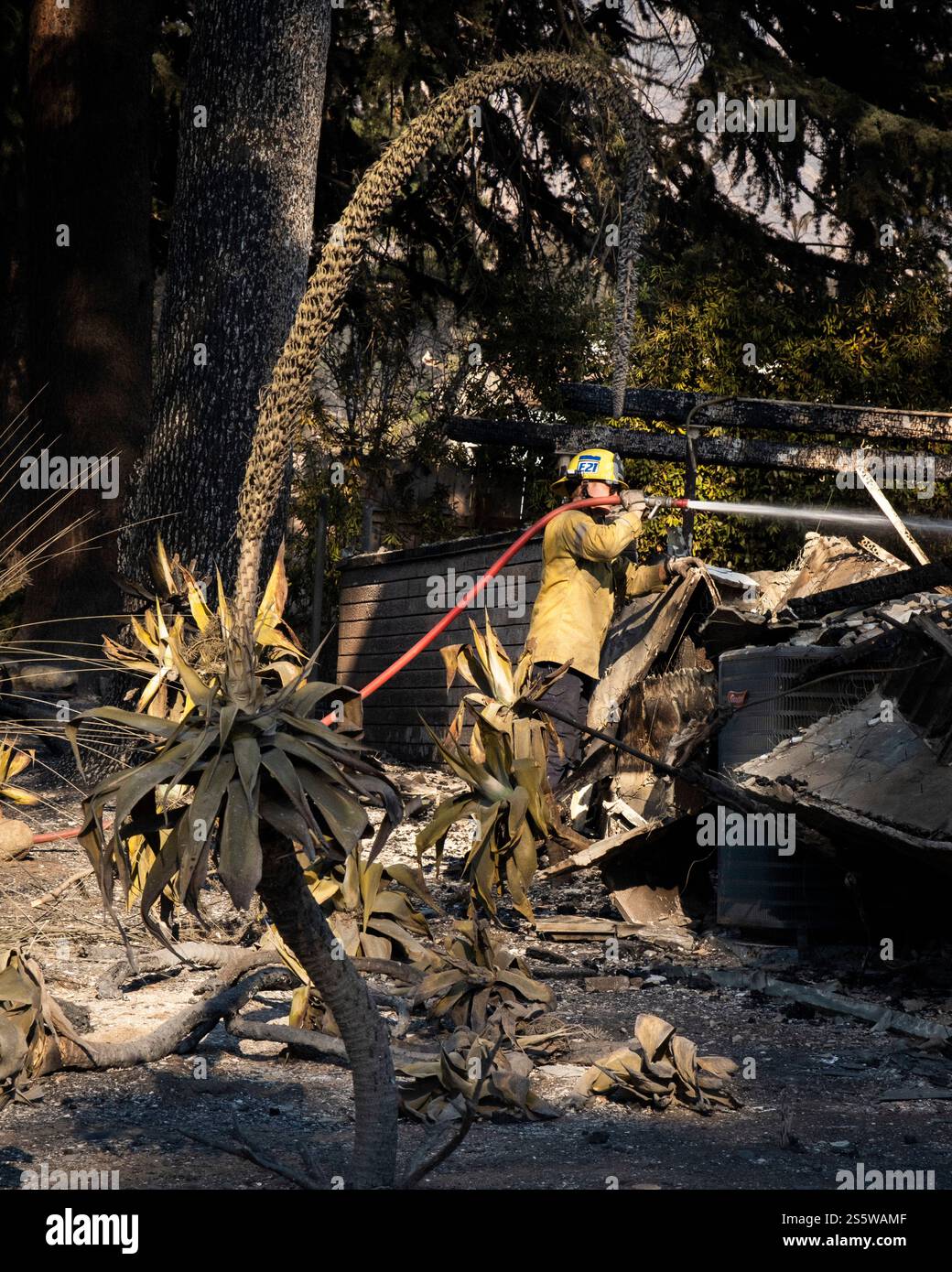 Altadena, California, USA. 10th Jan, 2025. A firefighter works to ...
