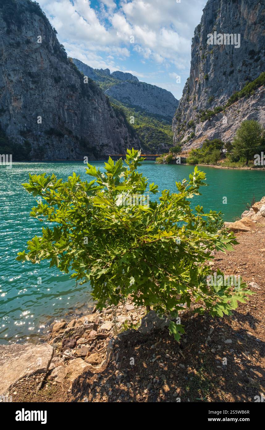 Shkopet stausee hi-res stock photography and images - Alamy