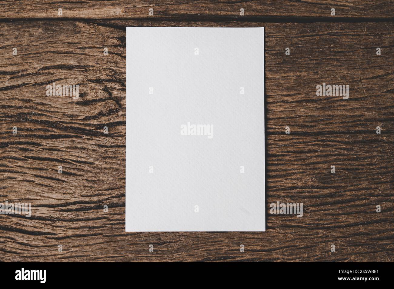 Quill on old blank hi-res stock photography and images - Alamy