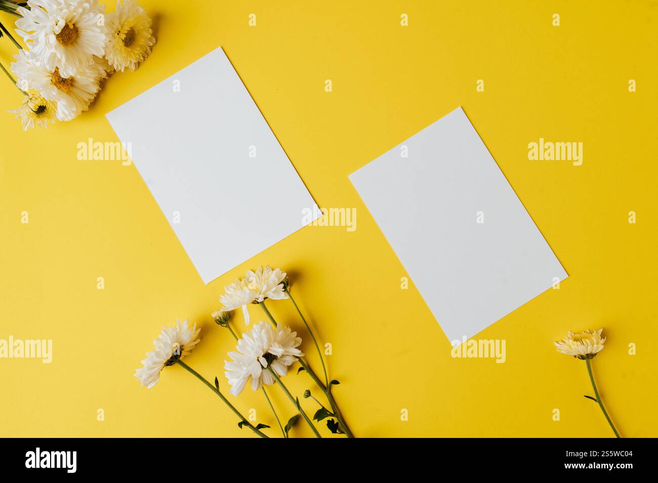Two blank card with flowers is placed on yellow background Stock Photo ...