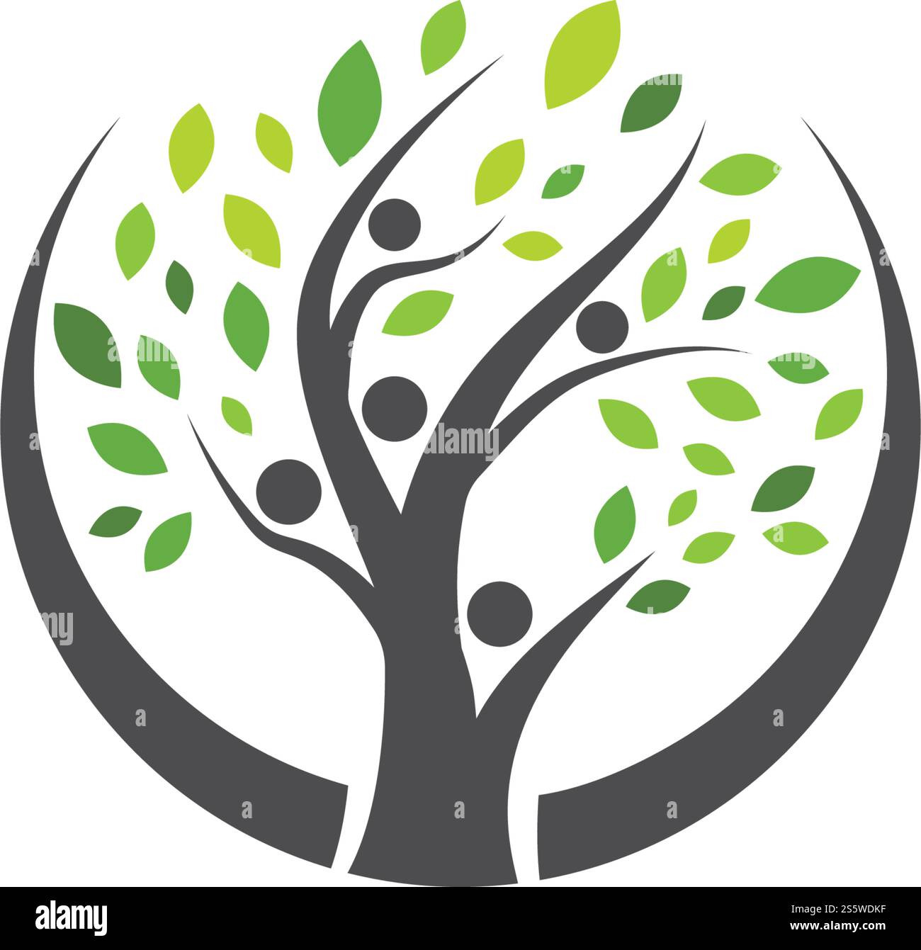 family tree logo template vector illustration Stock Vector Image & Art ...