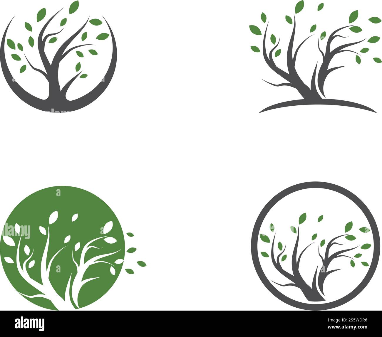 Tree logo template vector illustration Stock Vector Image & Art - Alamy