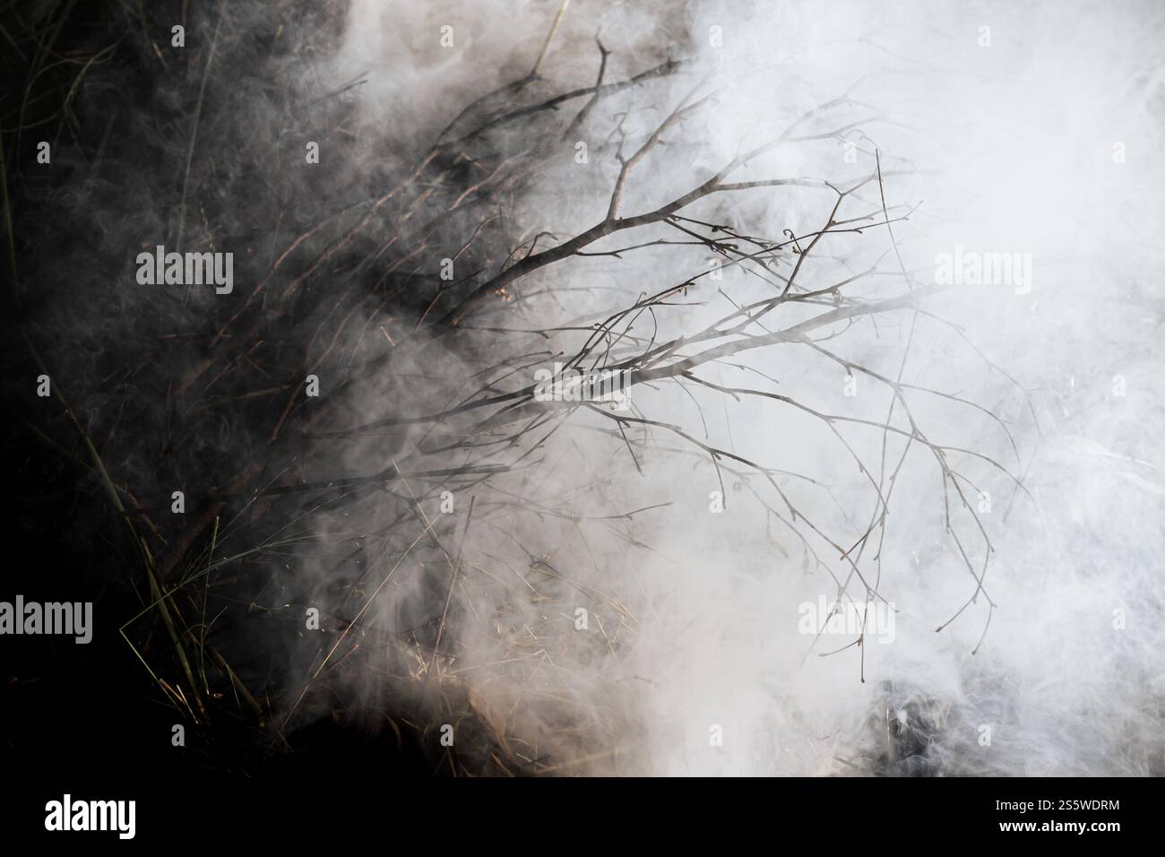 Organic waste being burn resulting dense and massive smoke Stock Photo ...