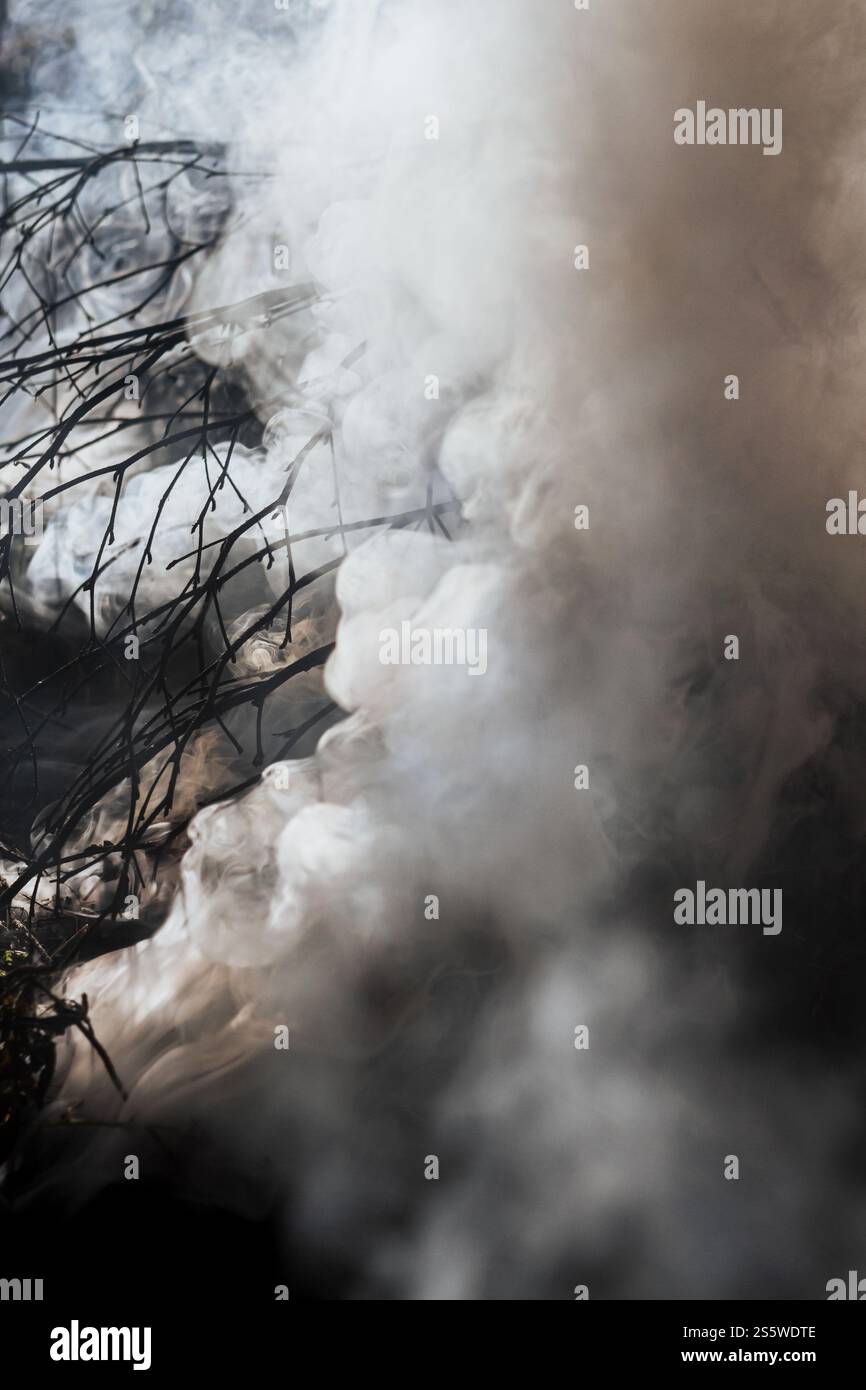 Organic waste being burn resulting dense and massive smoke Stock Photo ...