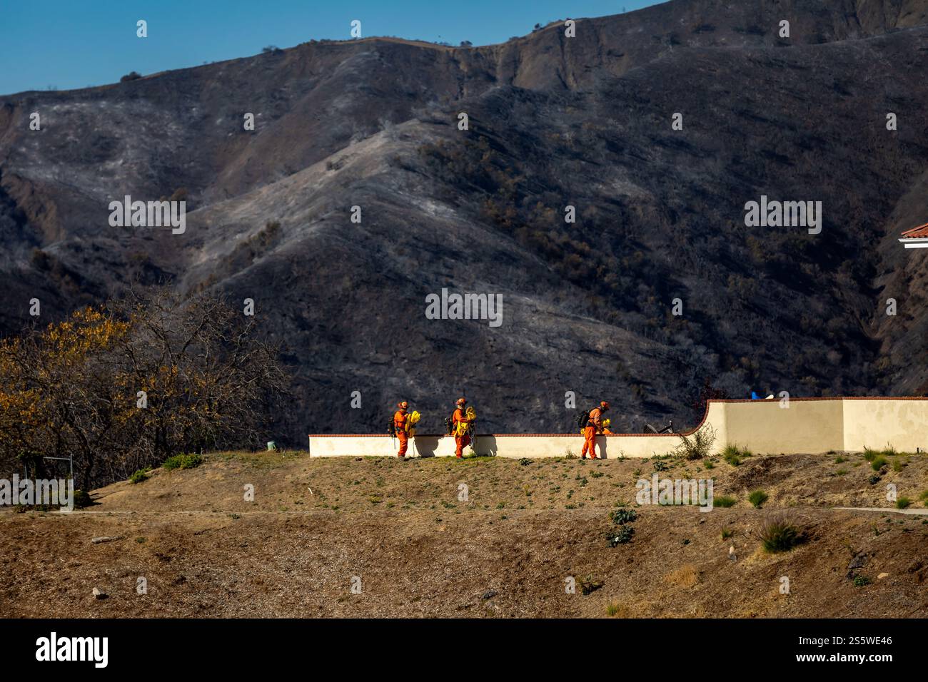Los Angeles, United States. 14th Jan, 2025. LOS ANGELES, CALIFORNIA ...