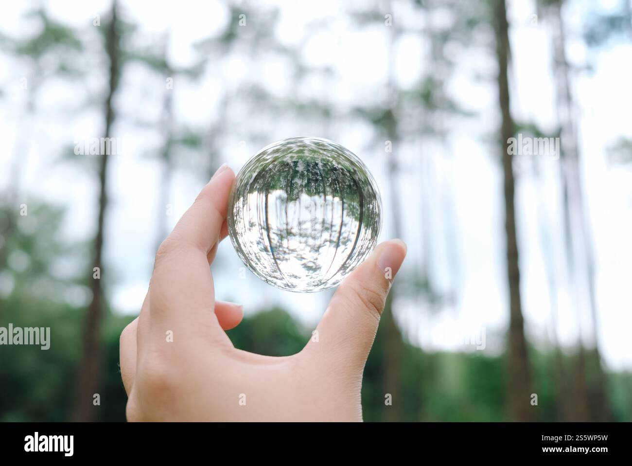 Save world. Earth day. Energy saving. save world concept. Crystal glass ...