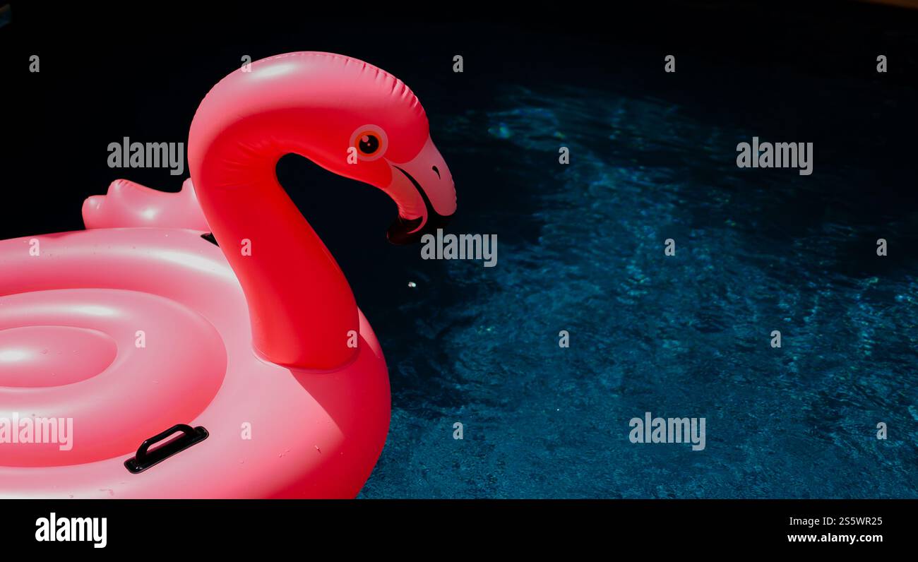 Summer vacation fun funny Pink Flamingo float in a swimming pool trendy Flamingo on a blue ...