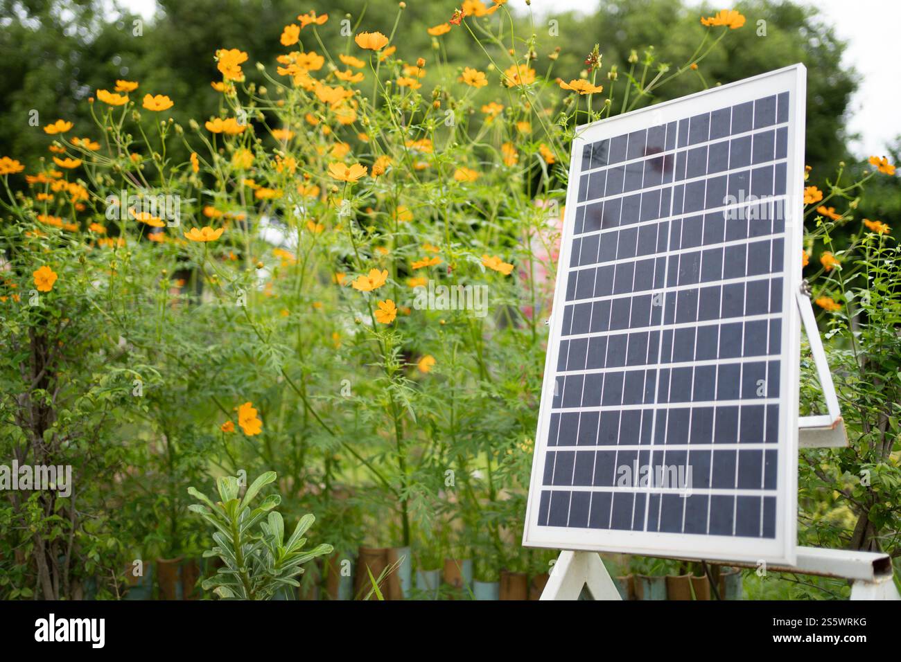 Solar Panel System near the house photovoltaic alternative electricity ...