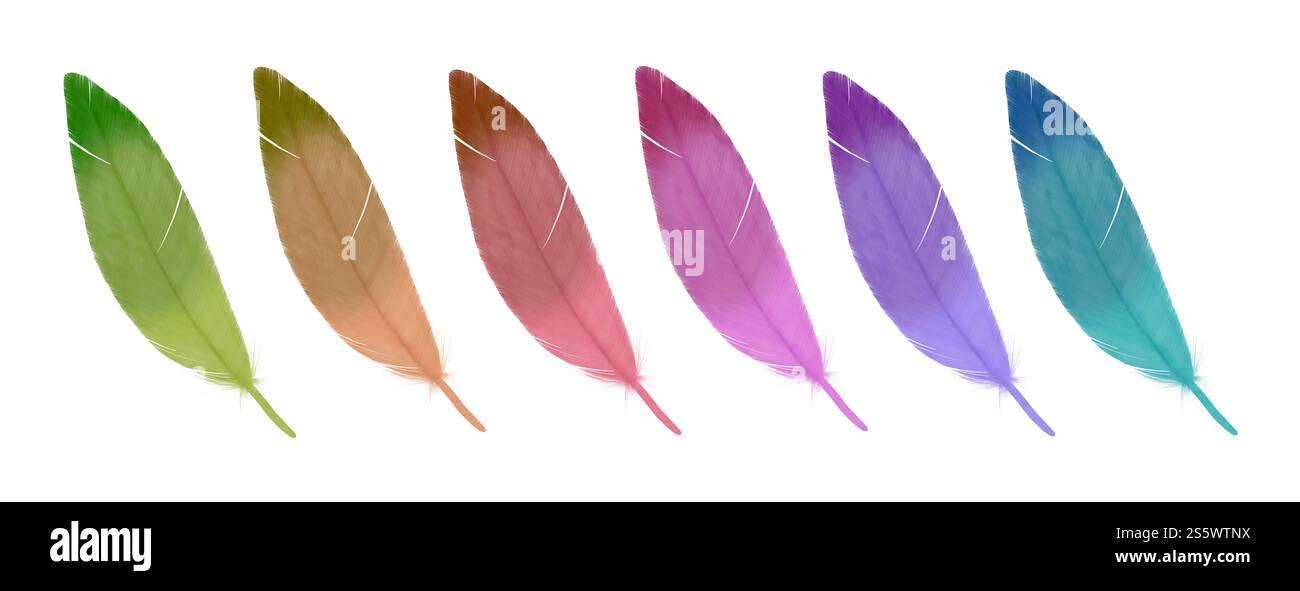 Hand drawn feather illustration. fluffy feathers. for invitation ...