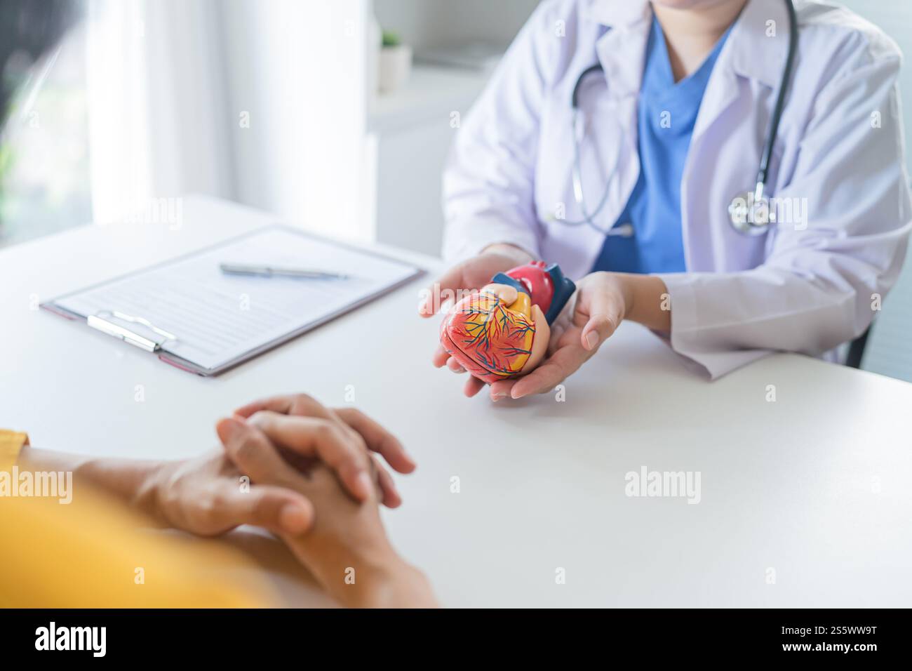 Cardiology Consultation treatment of heart disease. Doctor cardiologist ...