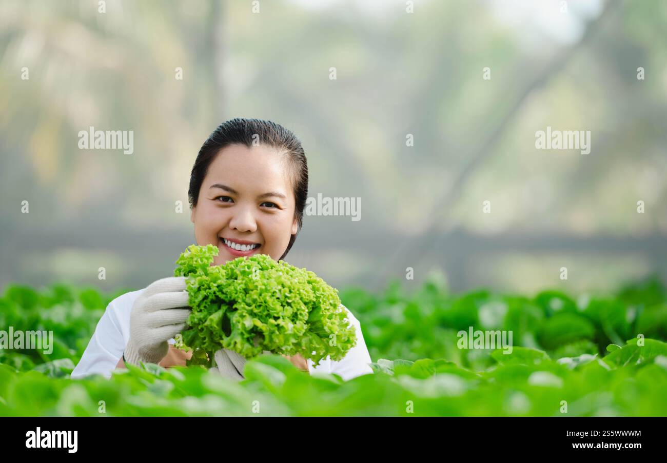Asian farmer woman showing quality vegetable in organic vegetable hydroponic farm. Plantation ...