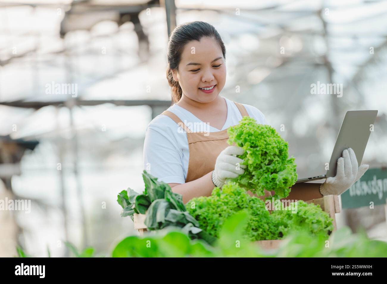 Asian farmer woman working with laptop in organic vegetable hydroponic farm. Hydroponic salad ...