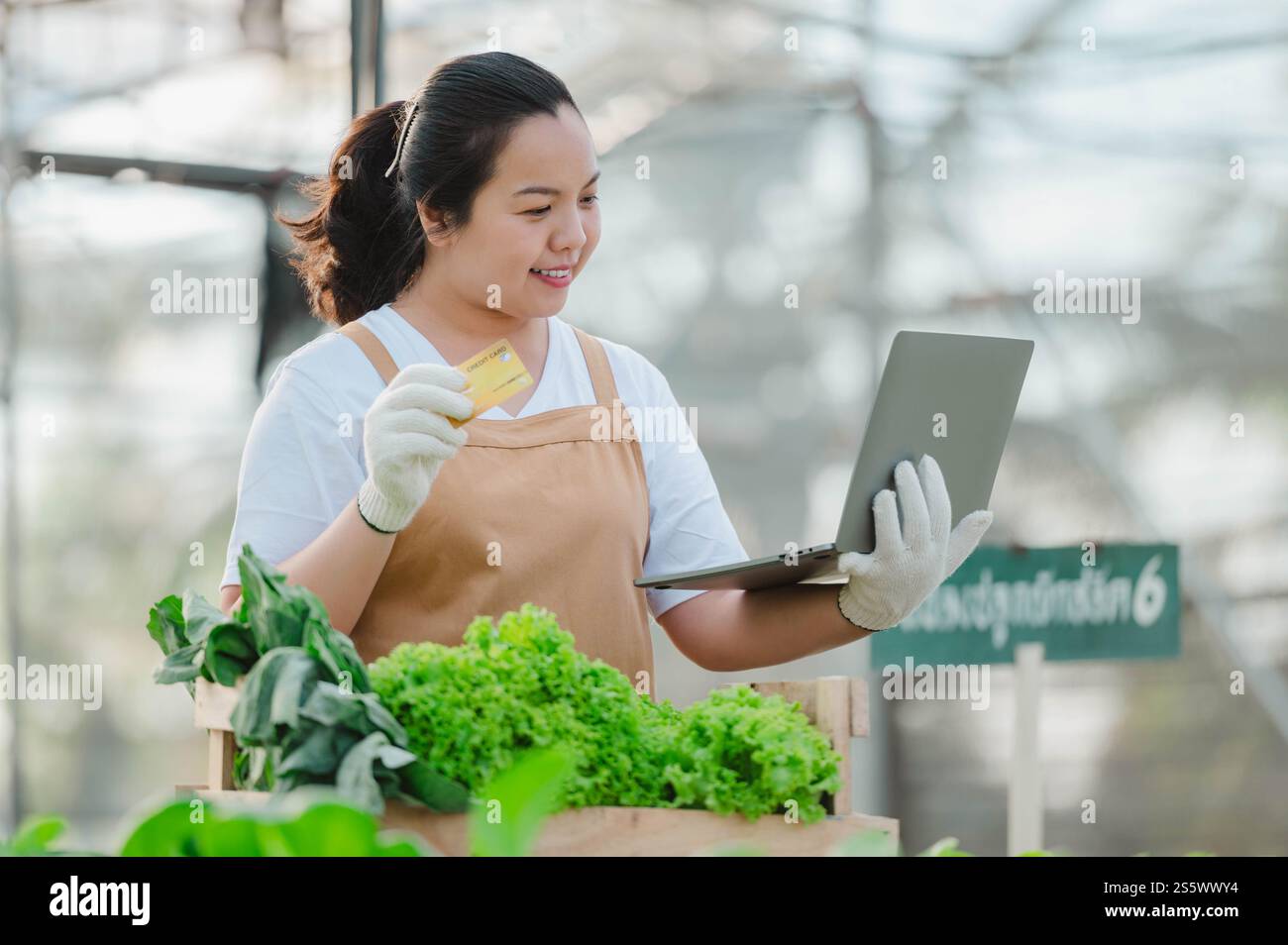Asian farmer woman working with laptop in organic vegetable hydroponic farm. Hydroponic salad ...