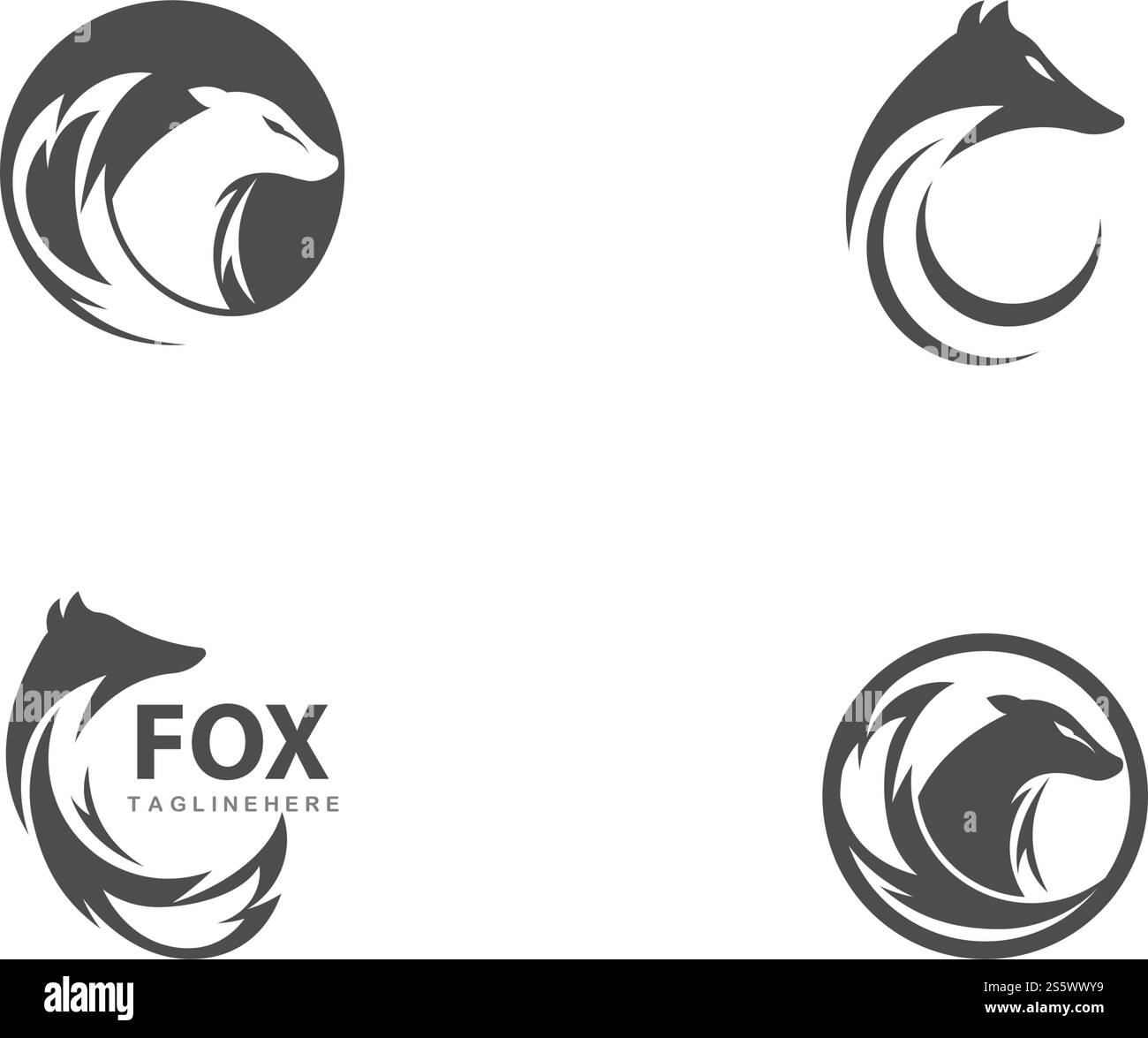 Fox logo vector template Stock Vector Image & Art - Alamy