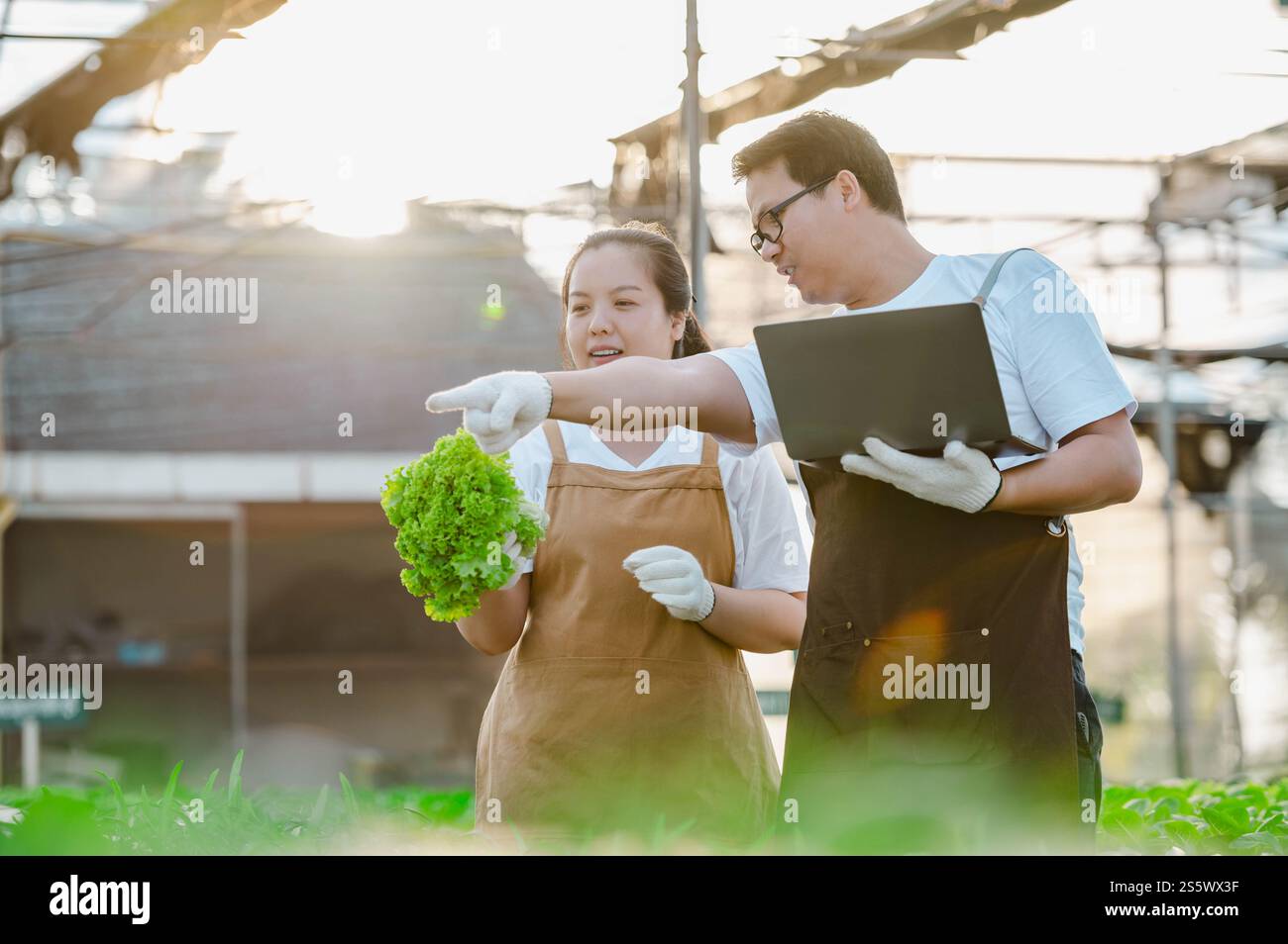 Portrait of Asian farmer man and woman working with laptop in organic vegetable hydroponic farm ...