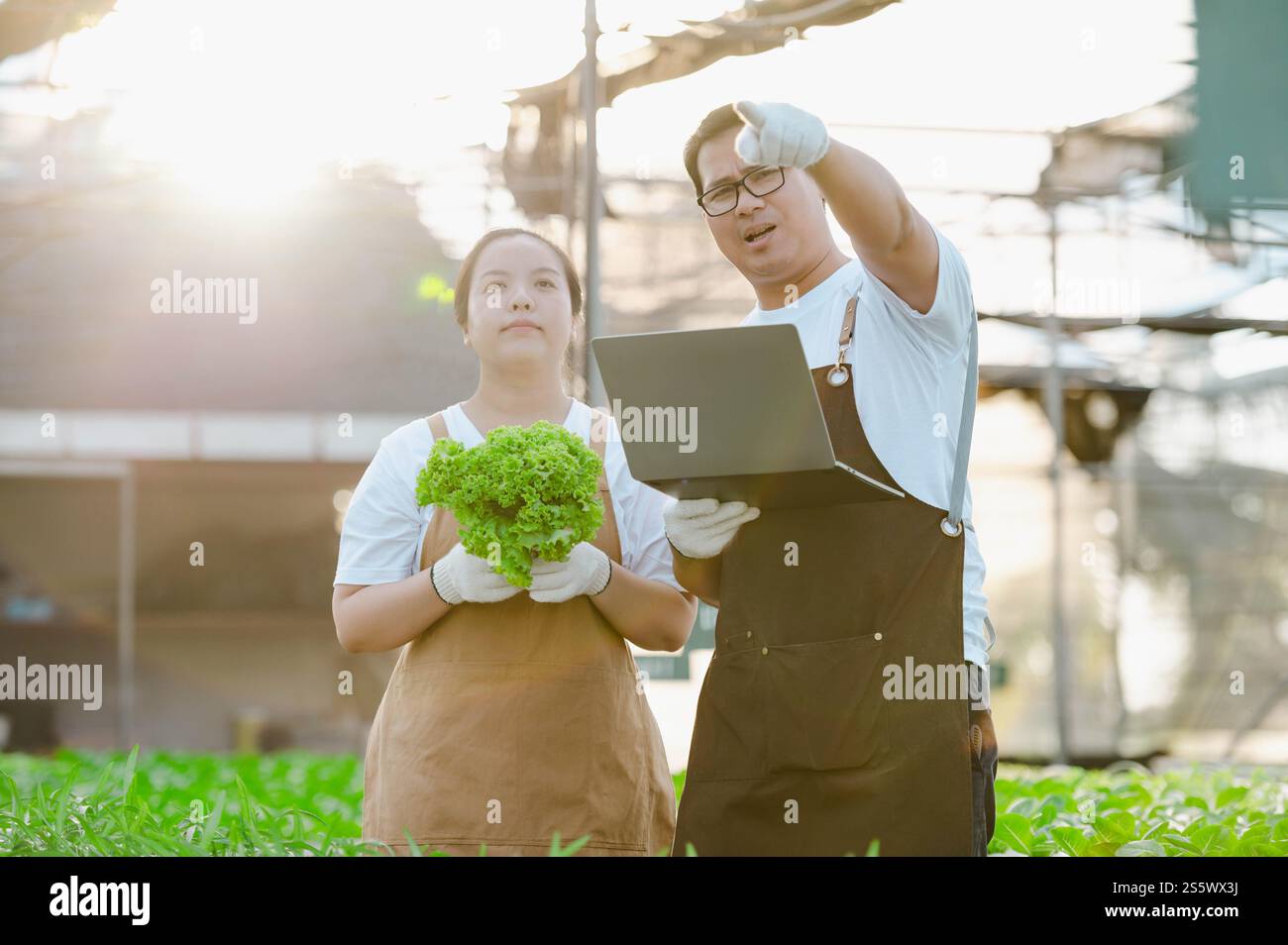 Portrait of Asian farmer man and woman working with laptop in organic vegetable hydroponic farm ...