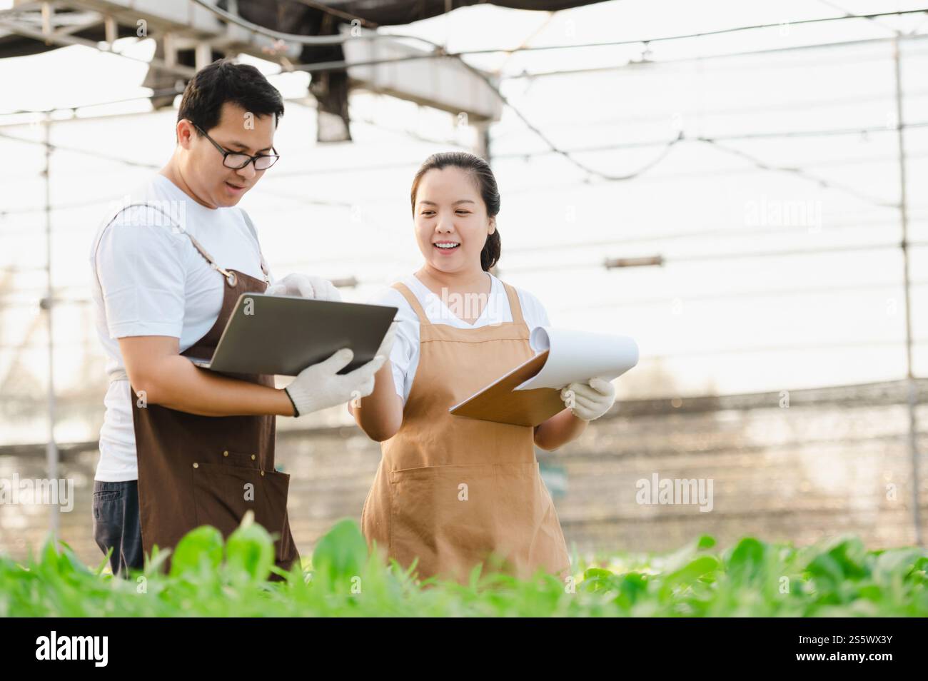 Portrait of Asian farmer man and woman working with laptop in organic vegetable hydroponic farm ...