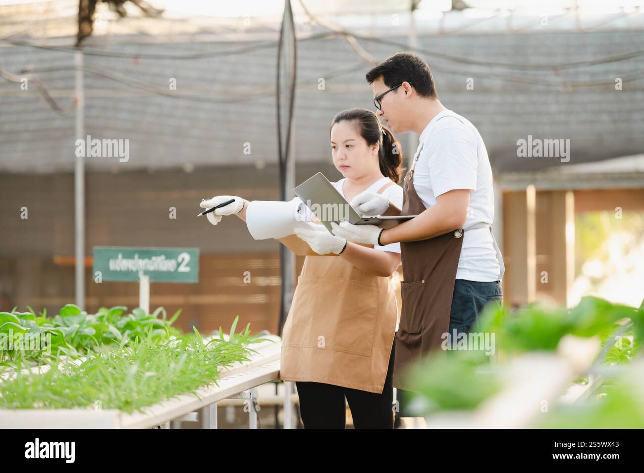 Portrait of Asian farmer man and woman working with laptop in organic vegetable hydroponic farm ...