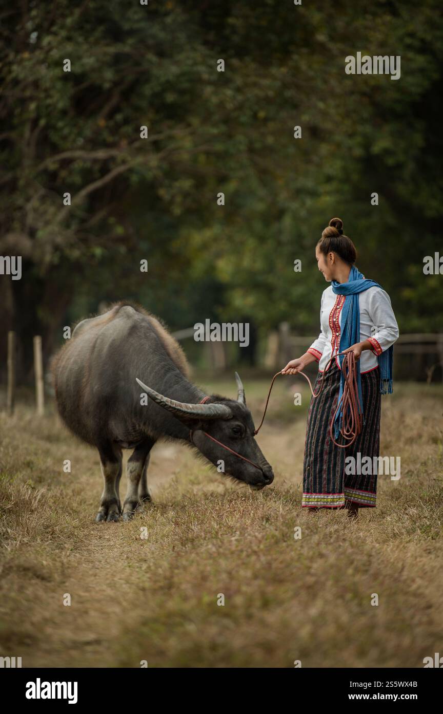 Woman walks in road hi-res stock photography and images - Alamy