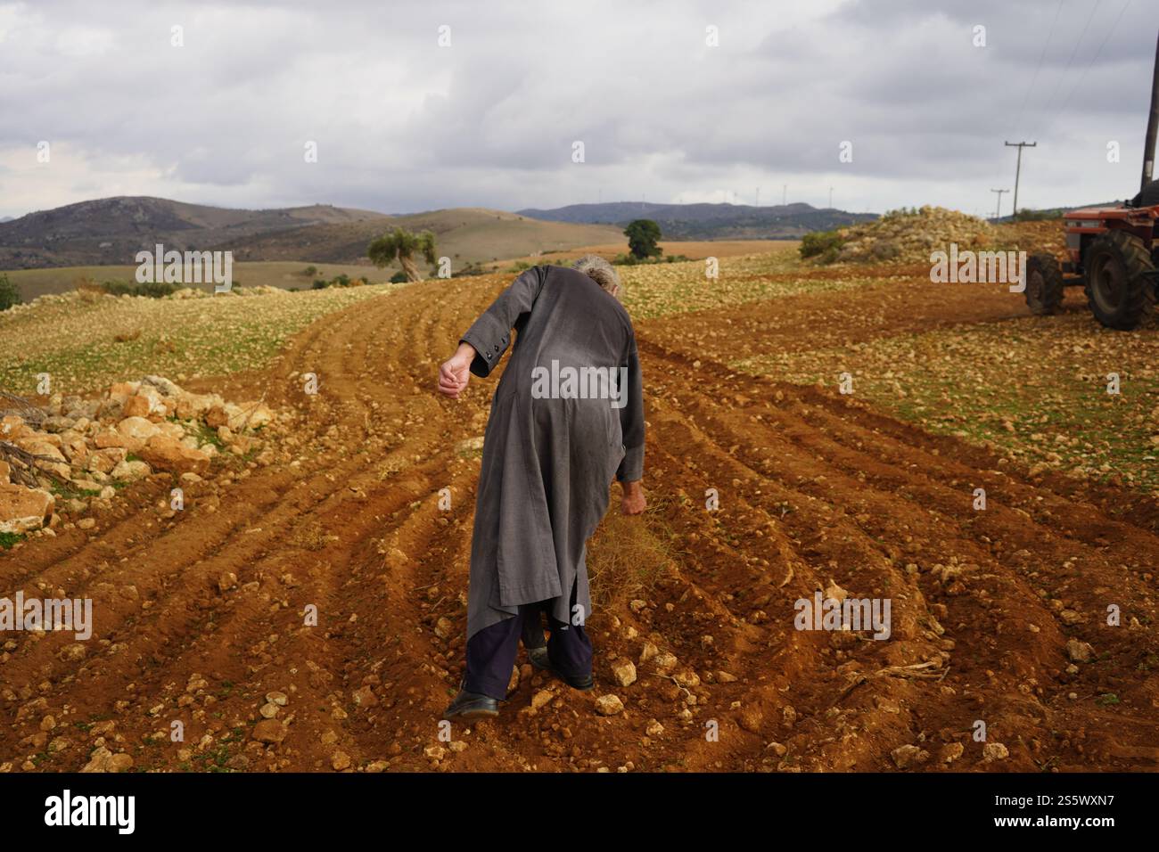 A monk throws seeds into the soil that was just plowed by the tractor ...