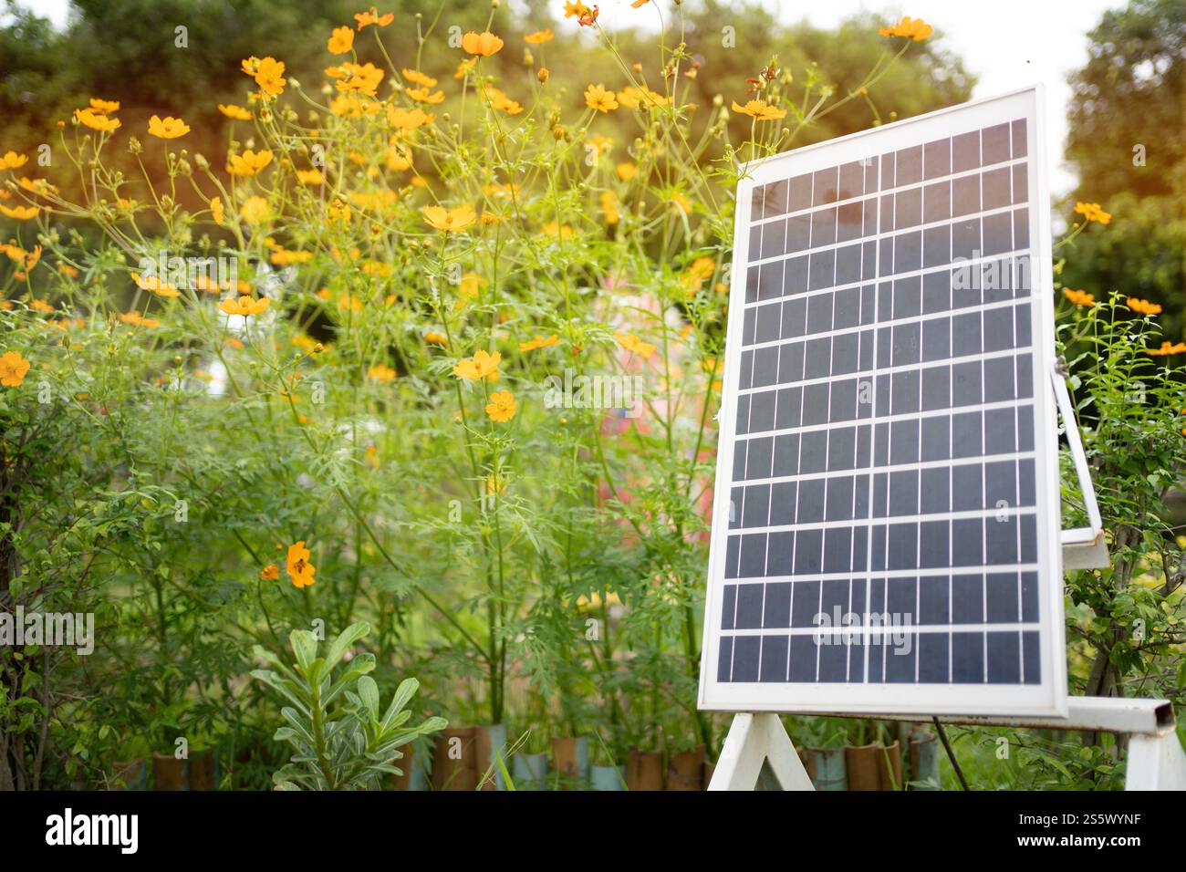 Solar Panel System near the house photovoltaic alternative electricity ...
