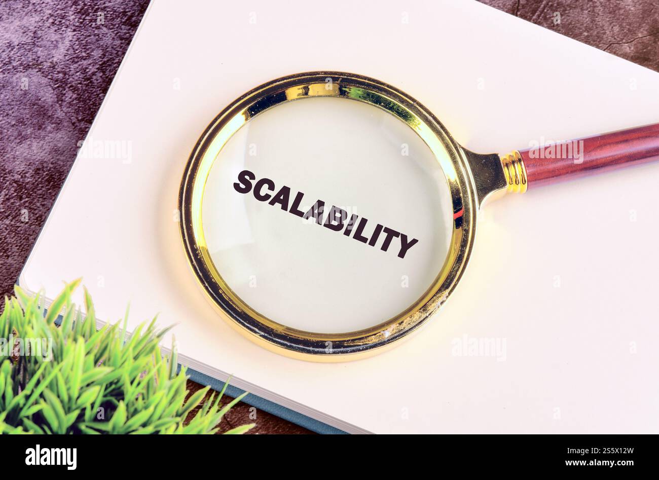 Modern business buzzword - scalability. SCALABILITY word in a notebook ...
