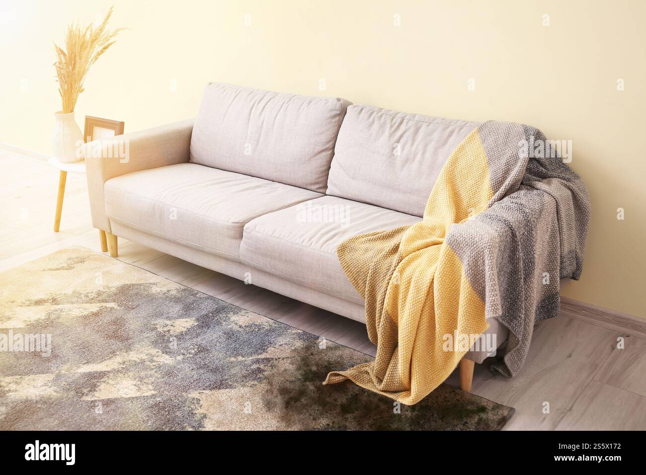 Black mold on carpet in living room Stock Photo - Alamy