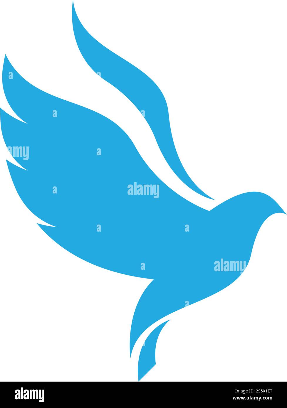 Real life dove bird hi-res stock photography and images - Alamy